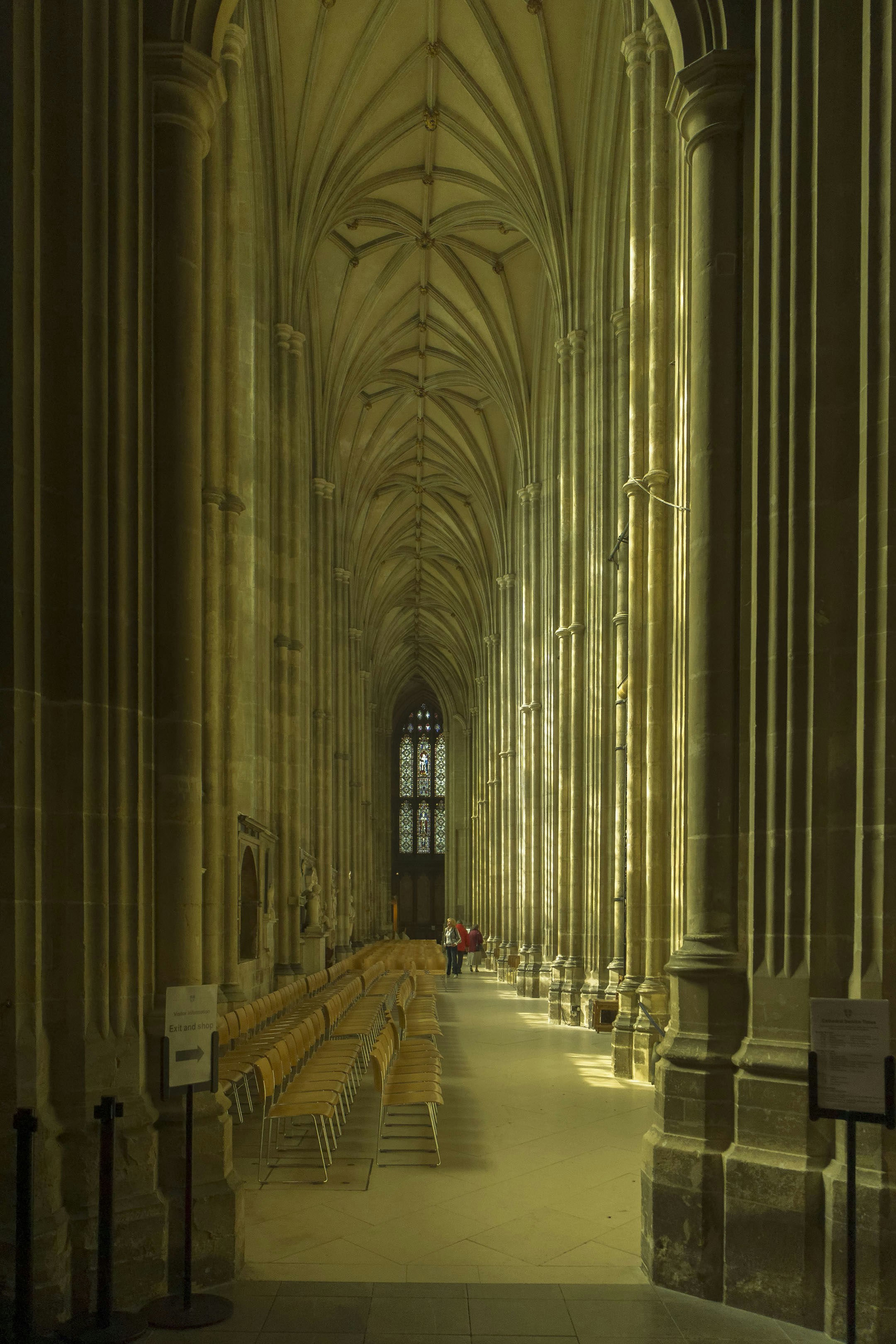 Echoes of Light in the Cathedral Aisle