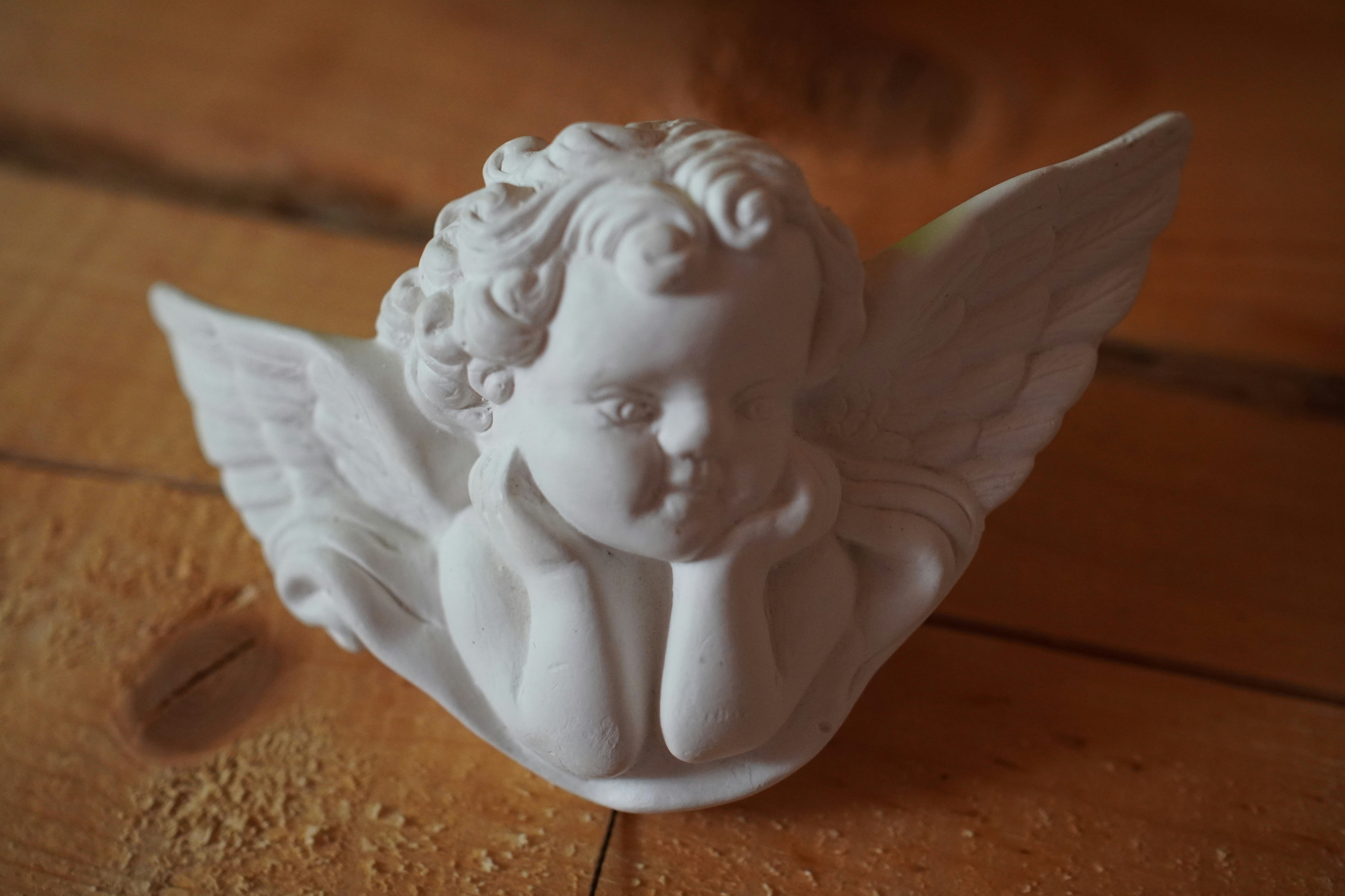 Cherub in White: a delicate marble portrait resting on warm boards