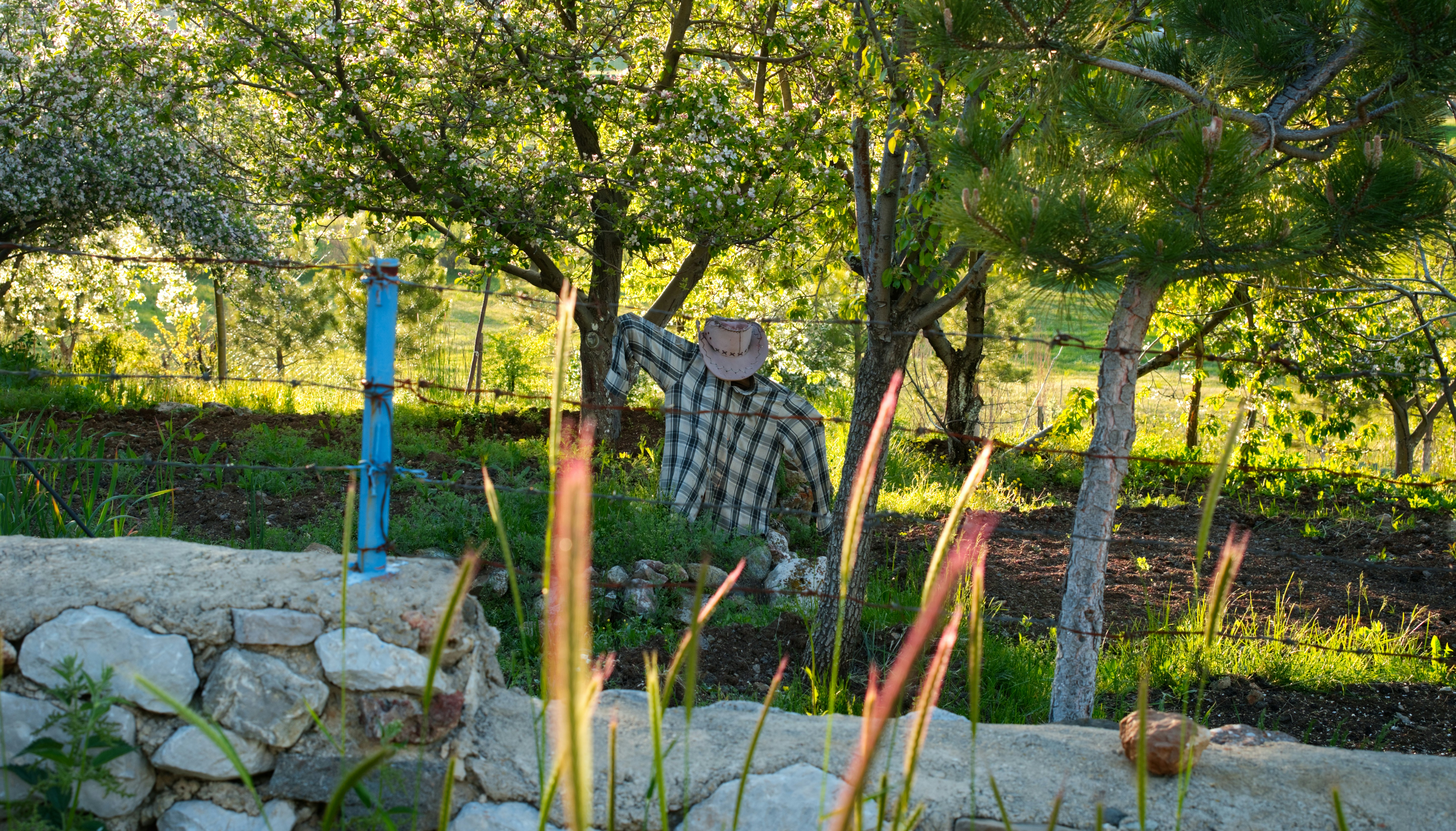 Gardener at Dappled Light: A Rural Corner with a Clothed Figure