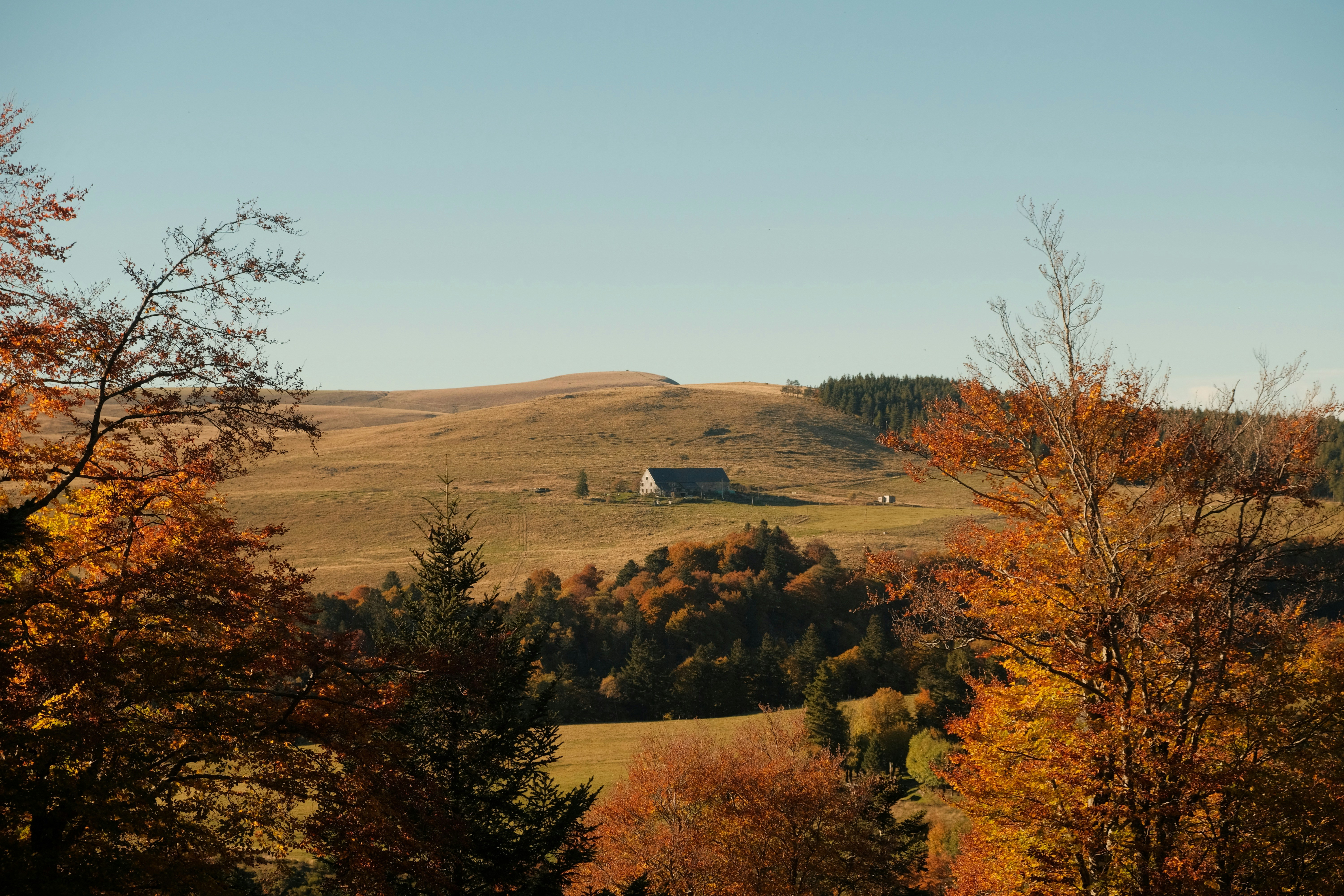A Quiet Farmstead Anchored by Autumn Hills