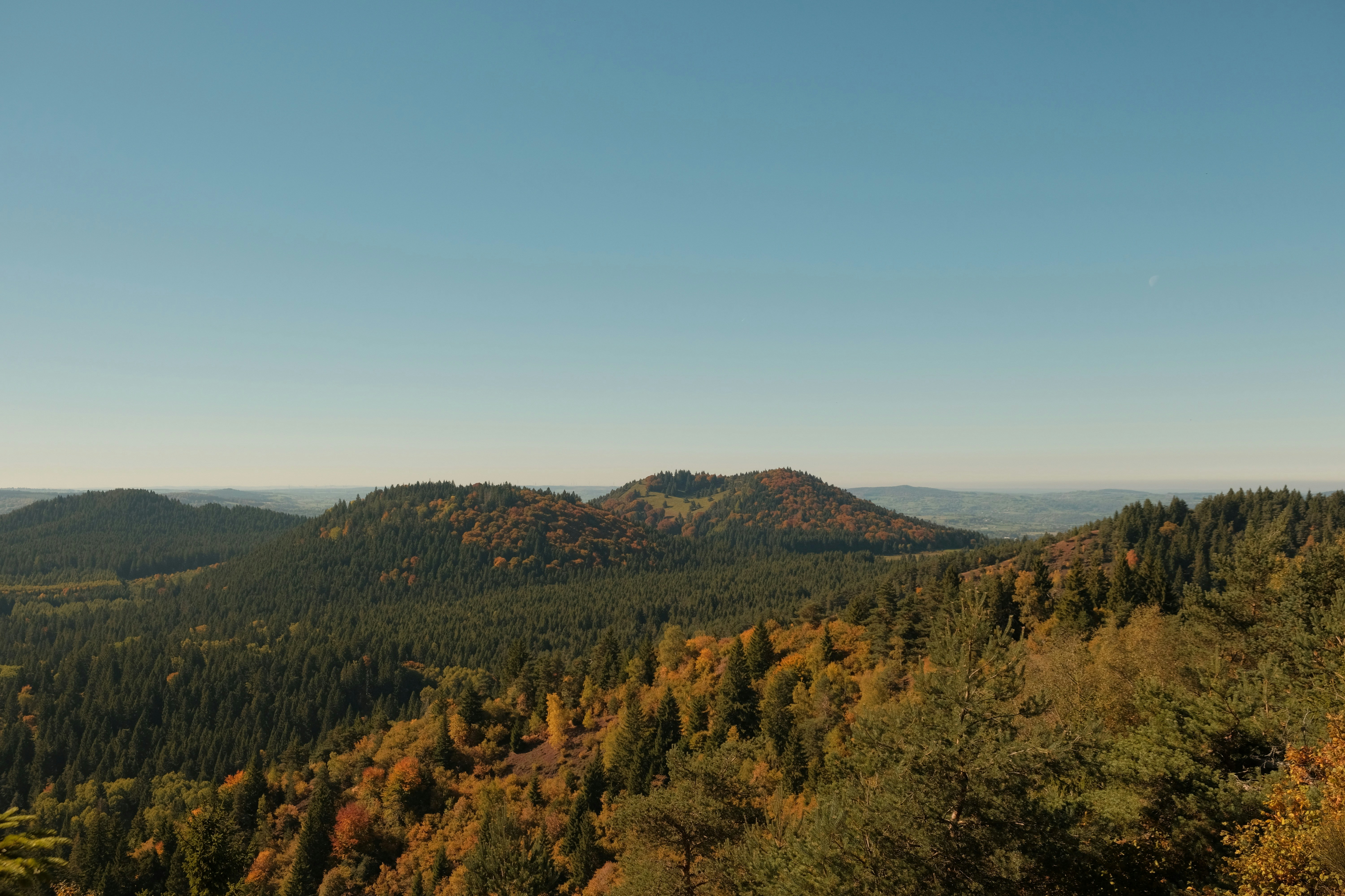 Autumn Ridge: A Quiet Overlook Beyond the Pinecrest