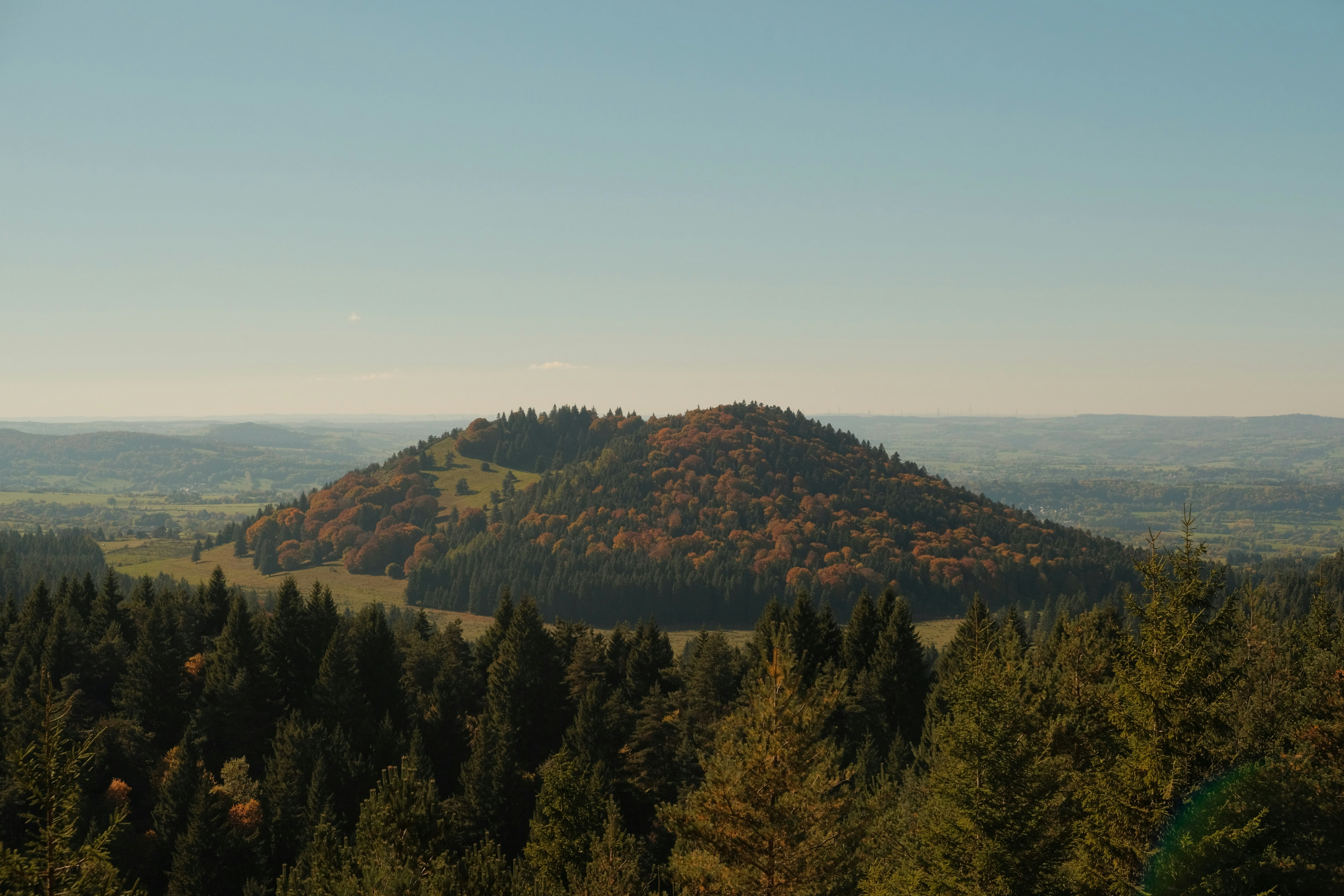 A forested hill crowned with autumn colors under a clear sky