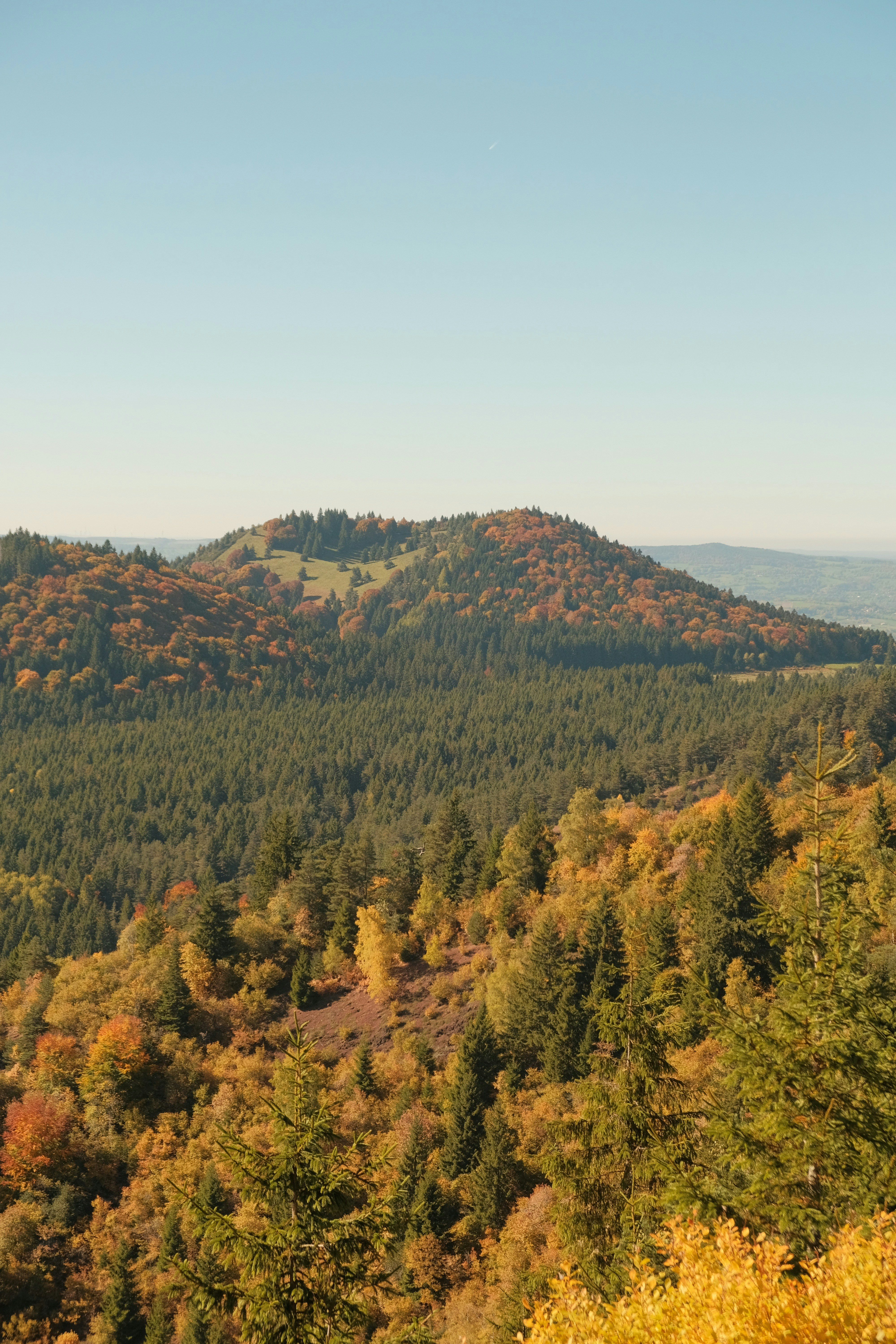 Autumn Crest: Rolling Hills of Fire and Pine