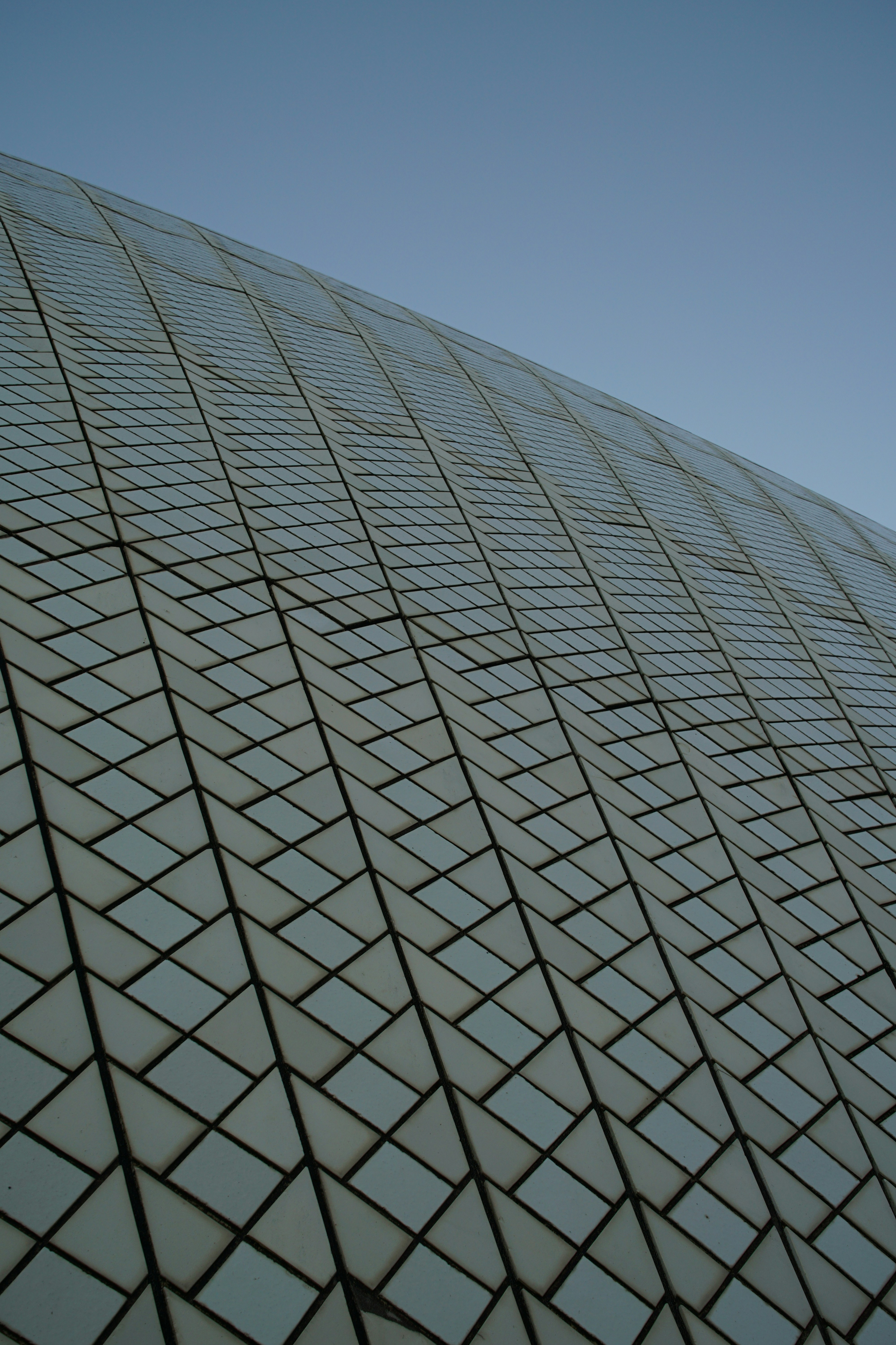 Diamond Grid Facade Reaching Toward a Clear Sky