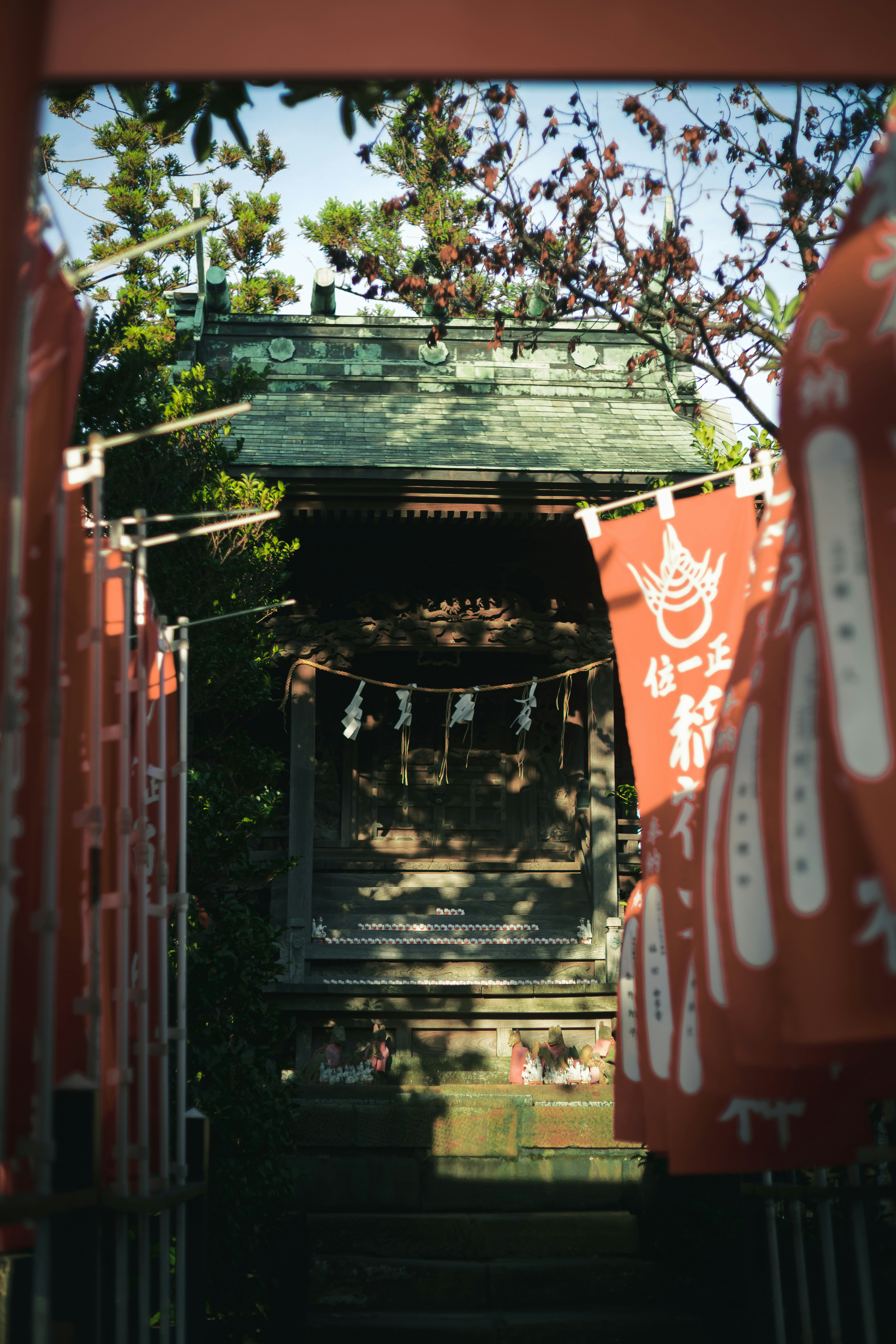 Gate Shrine Amid Red Lanterns: A Quiet Walk Through Tradition