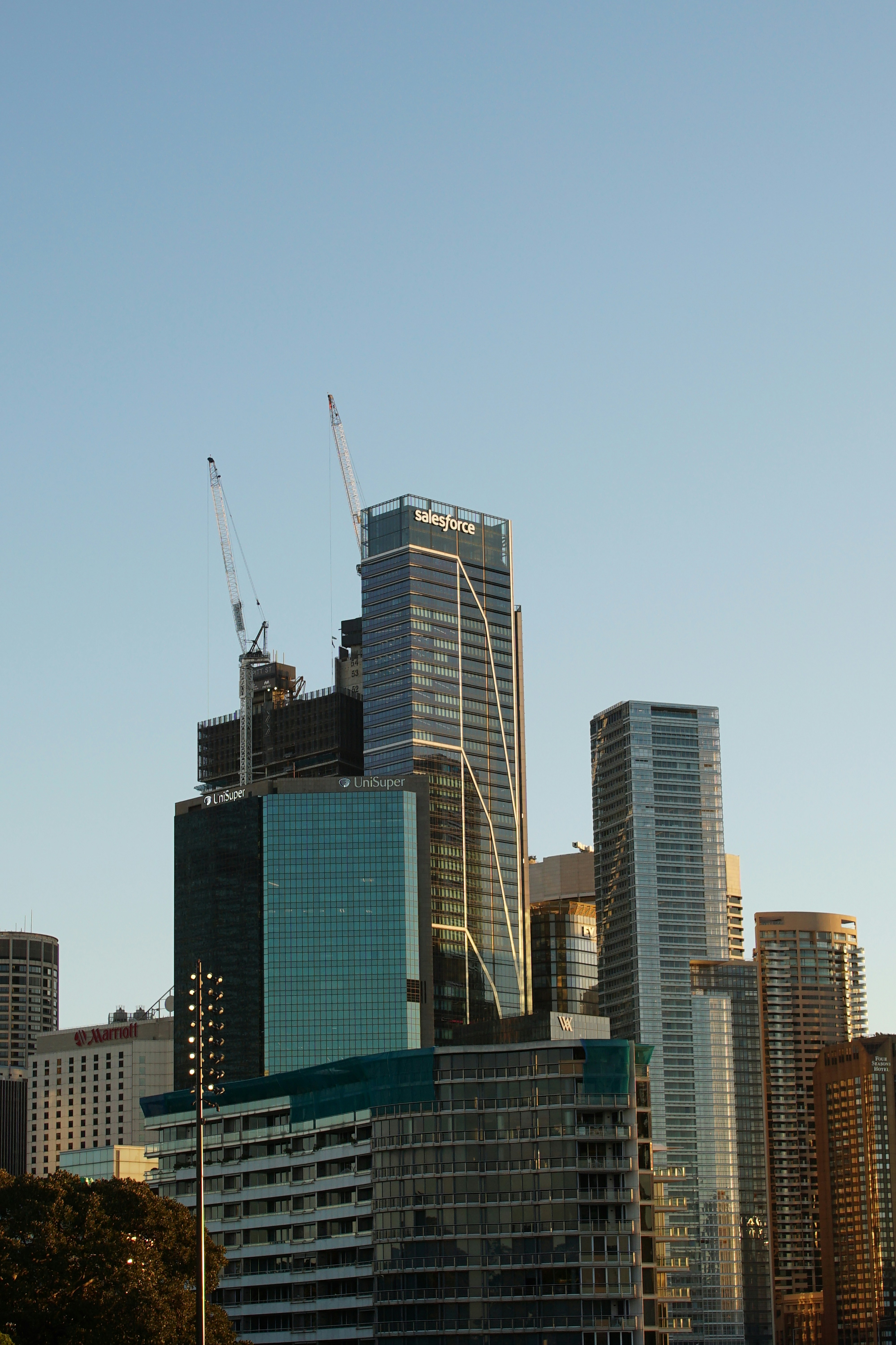 Skyline at Dusk: The Salesforce Tower Rising Amid Crane Lines