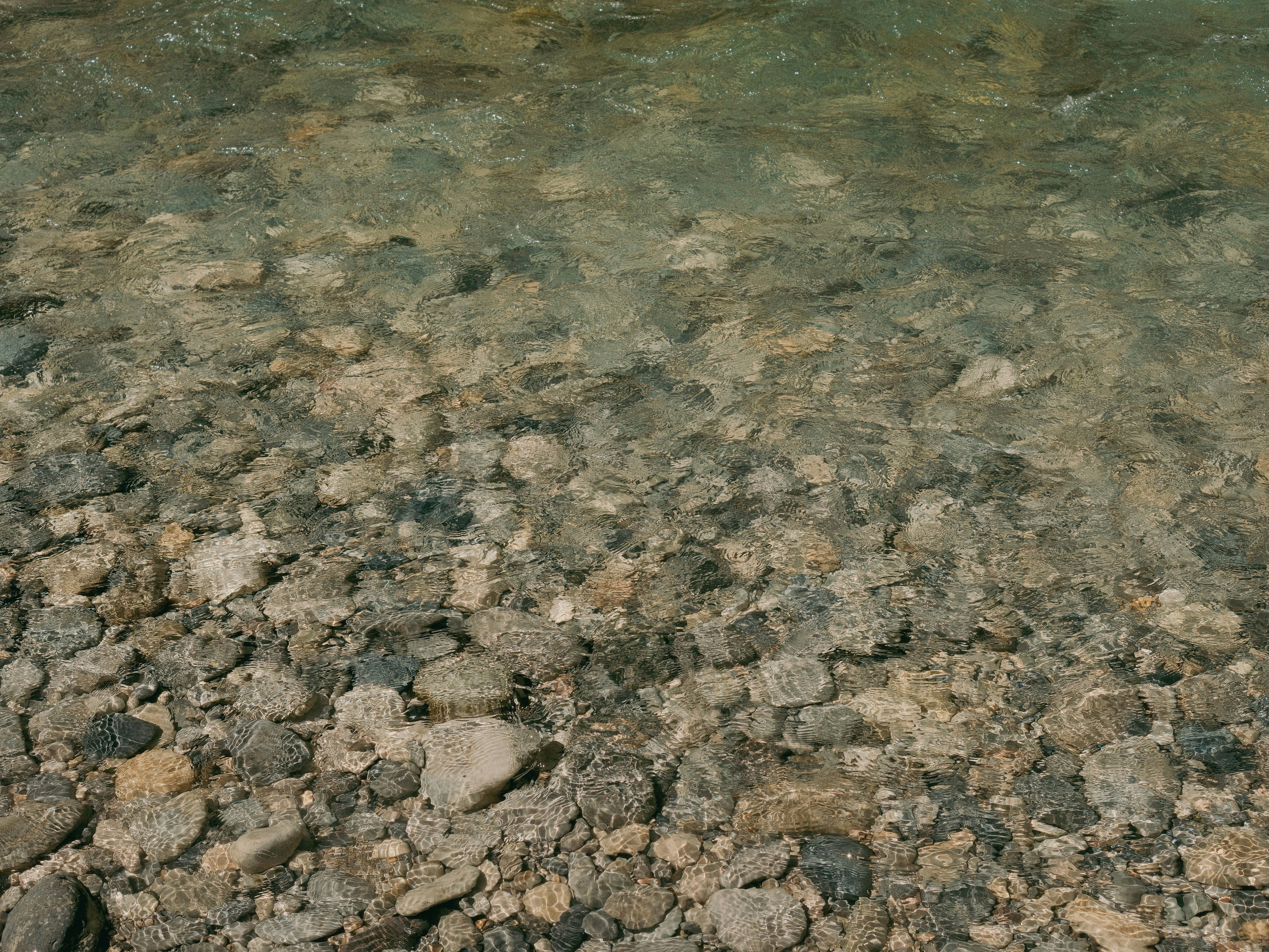 Riverbed Mosaic: Pebbles Under Time-Washed Water