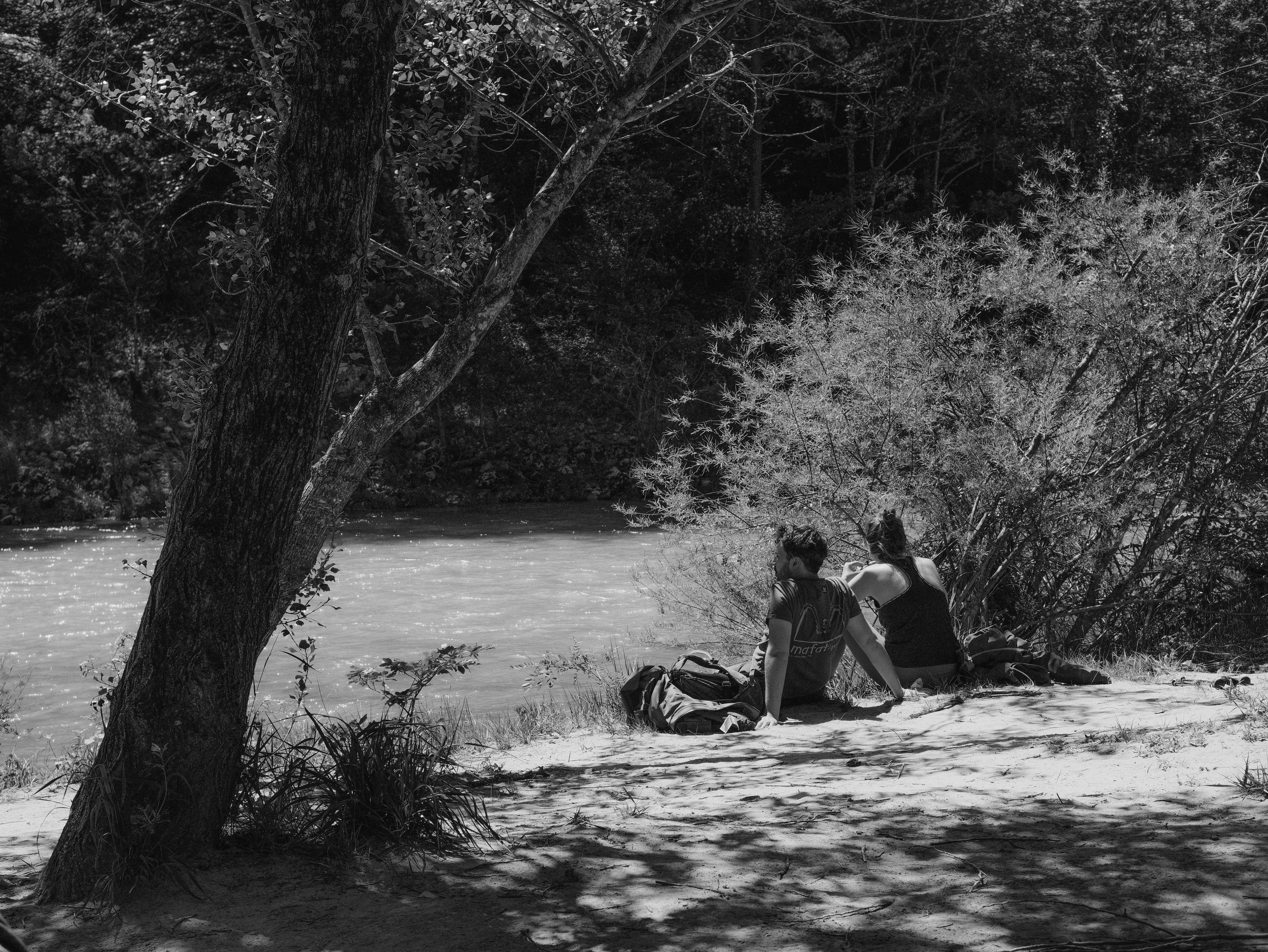 Quiet Riverside Moment: Friends Resting on a Shaded Shore