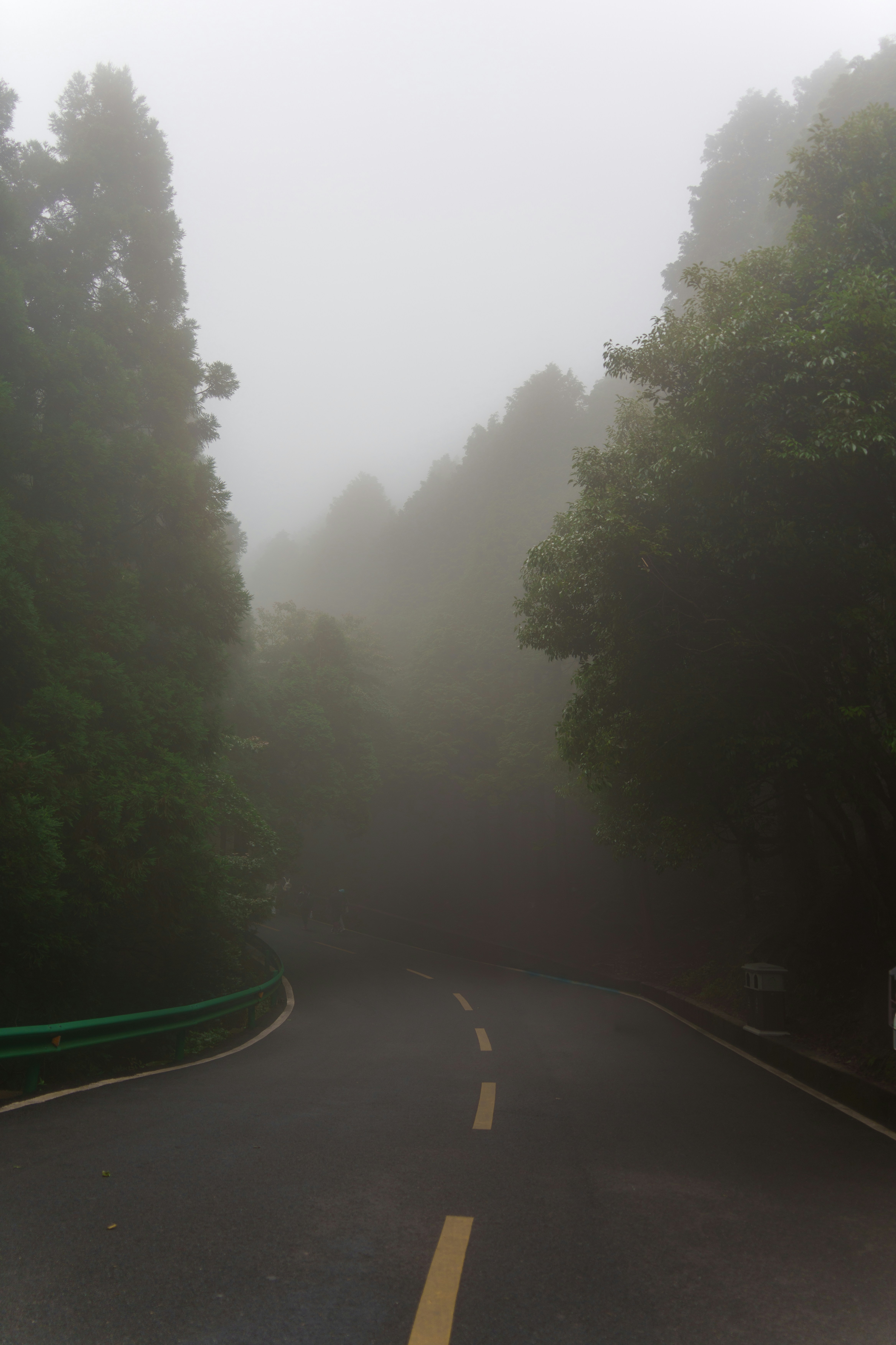 Midnight Fog on a Winding Mountain Road