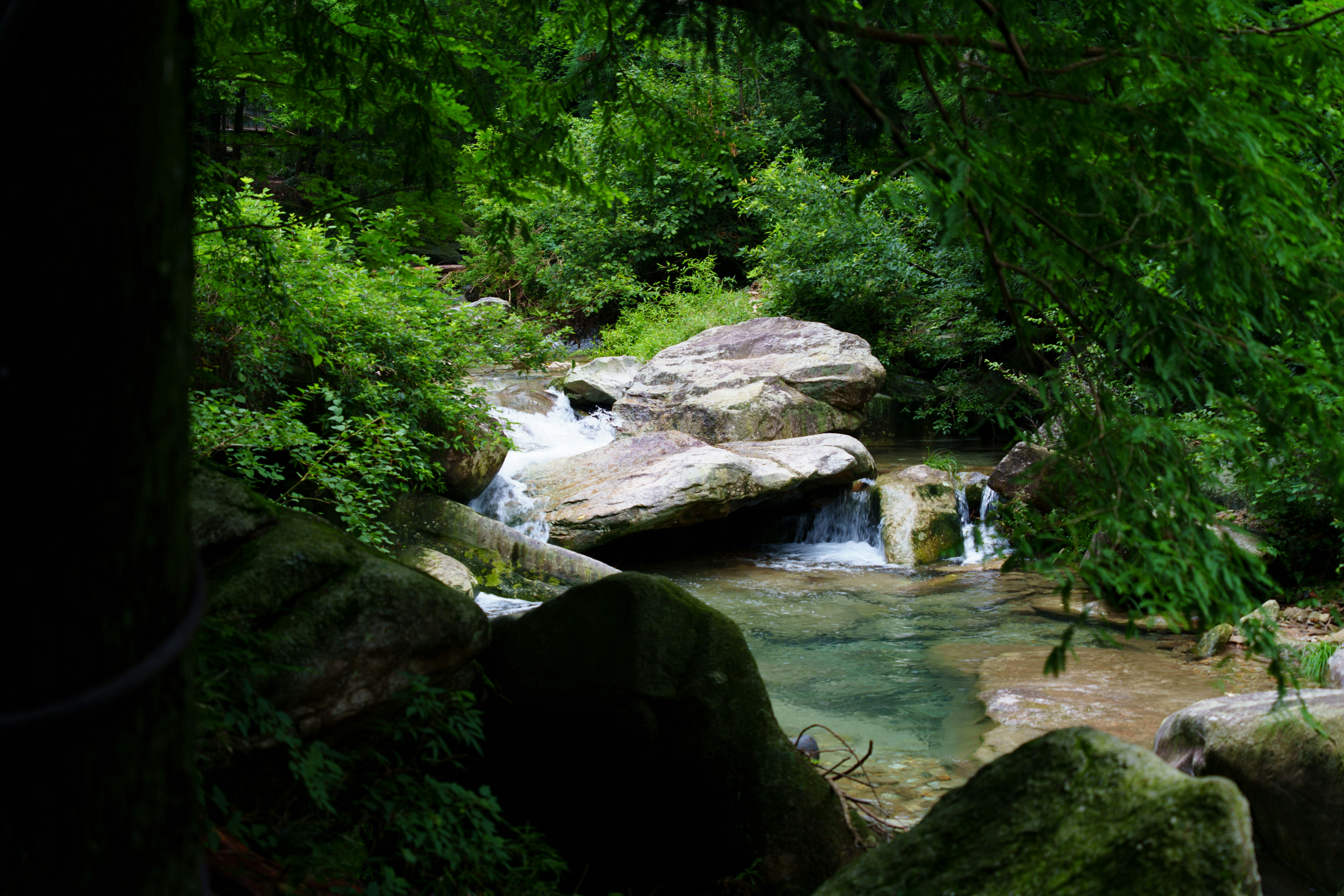 Whispering Cascade in a Lush Green Glen