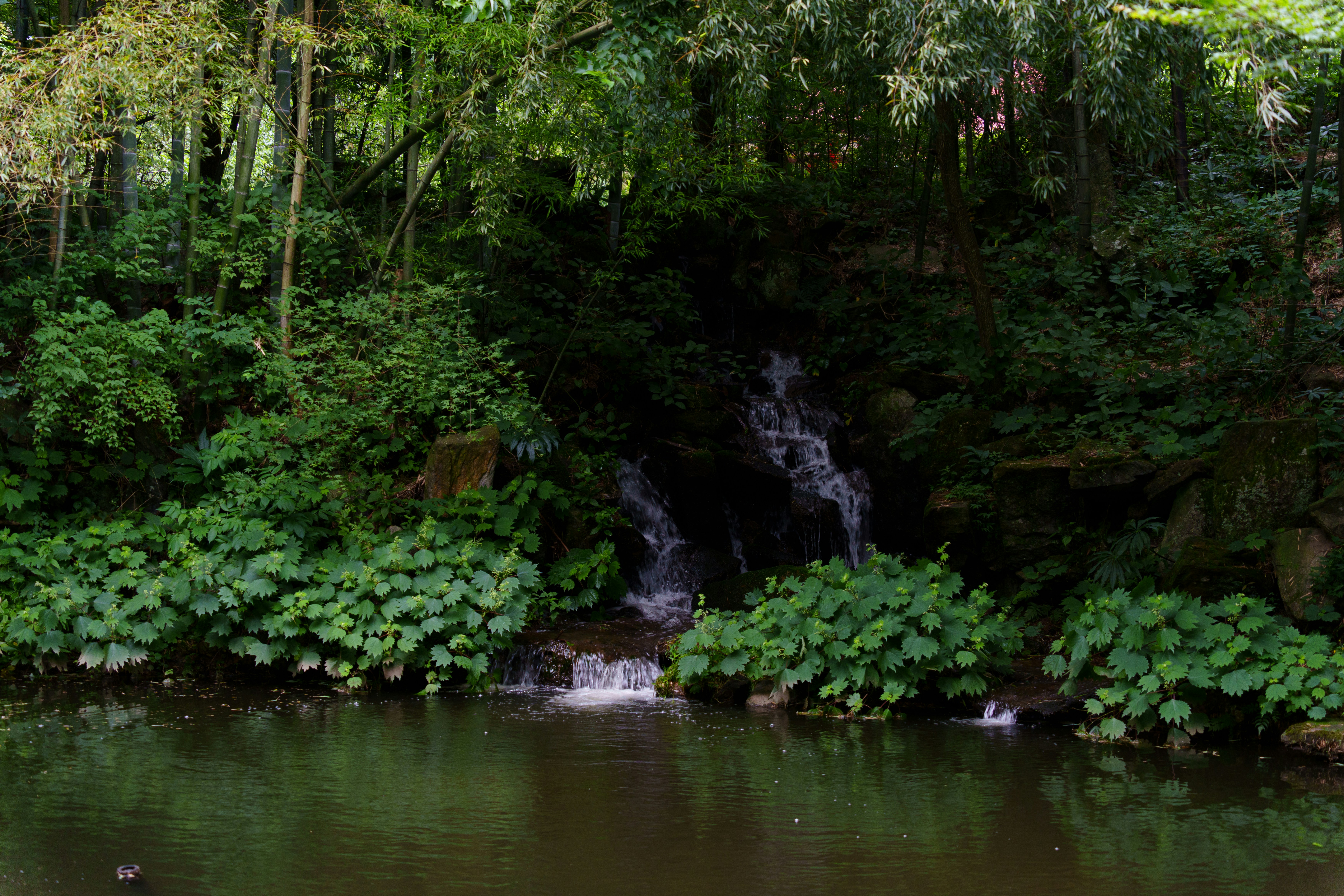Sunlit forest edge over a tranquil pool with a small cascade, lush green foliage framing the water. A natural landscape scene captured for serene, immersive depth.