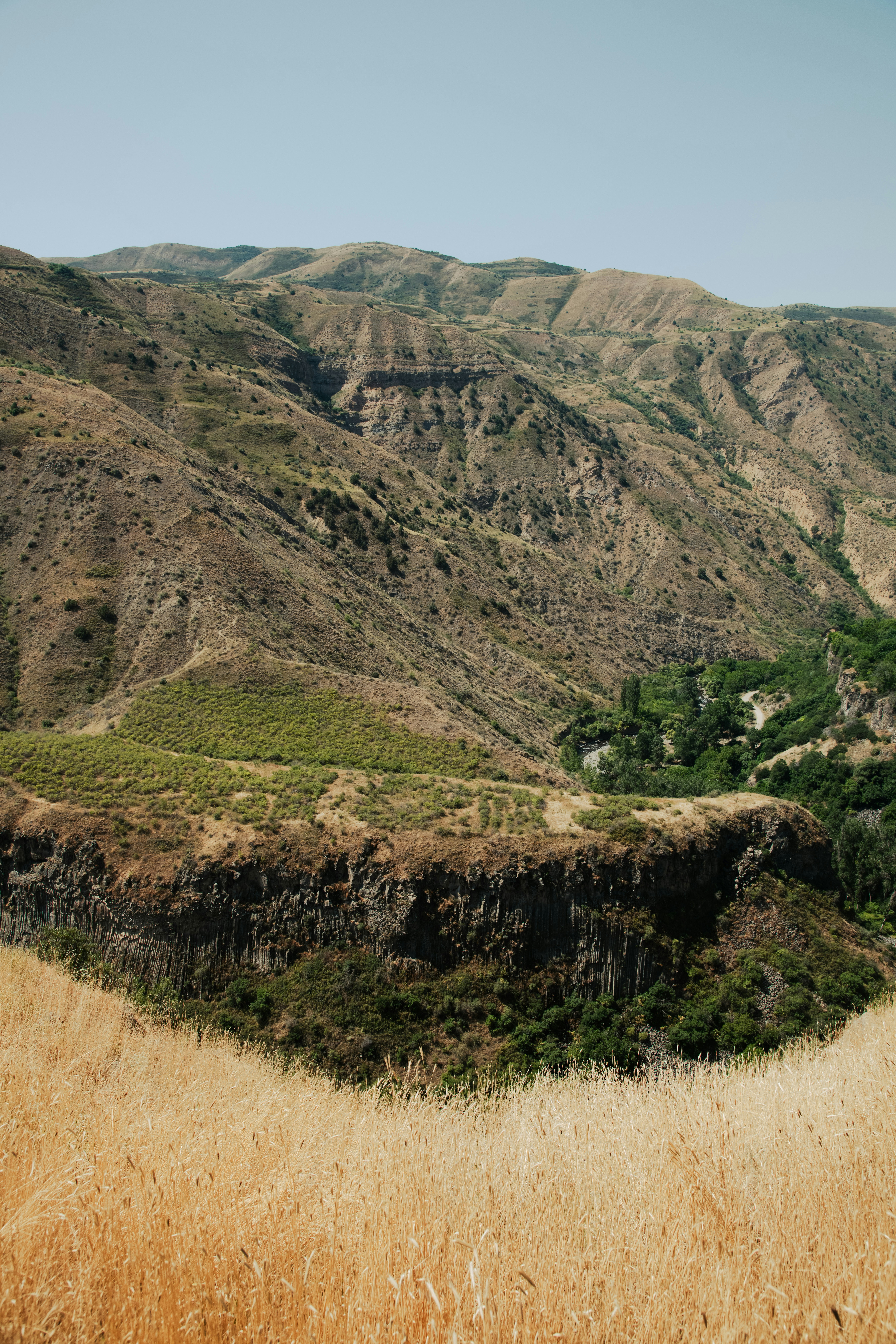 Sunlit Slope: Sage and Cliff Echoes Across a Desert Ridge