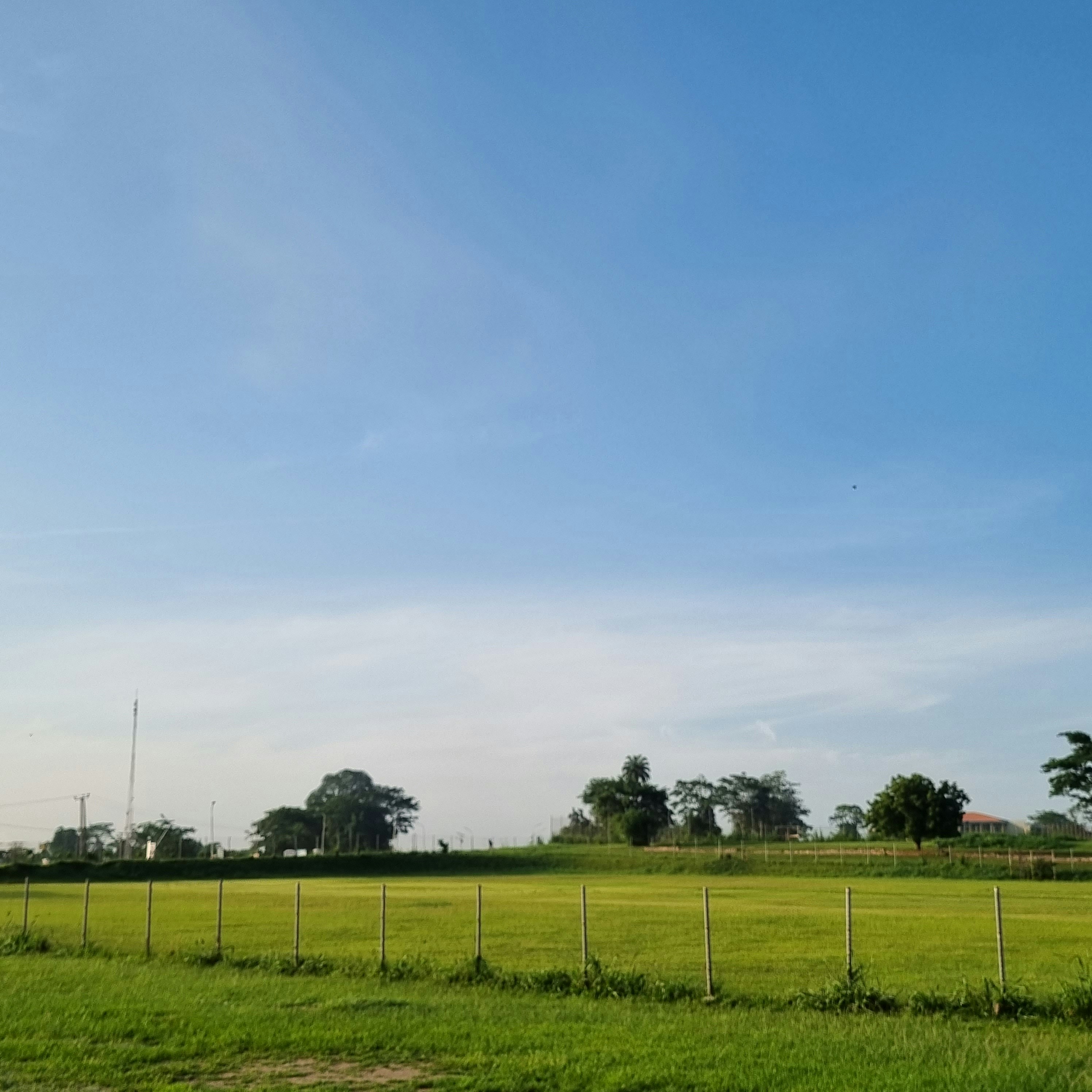 Sunlit Field Beneath a Wide Sky