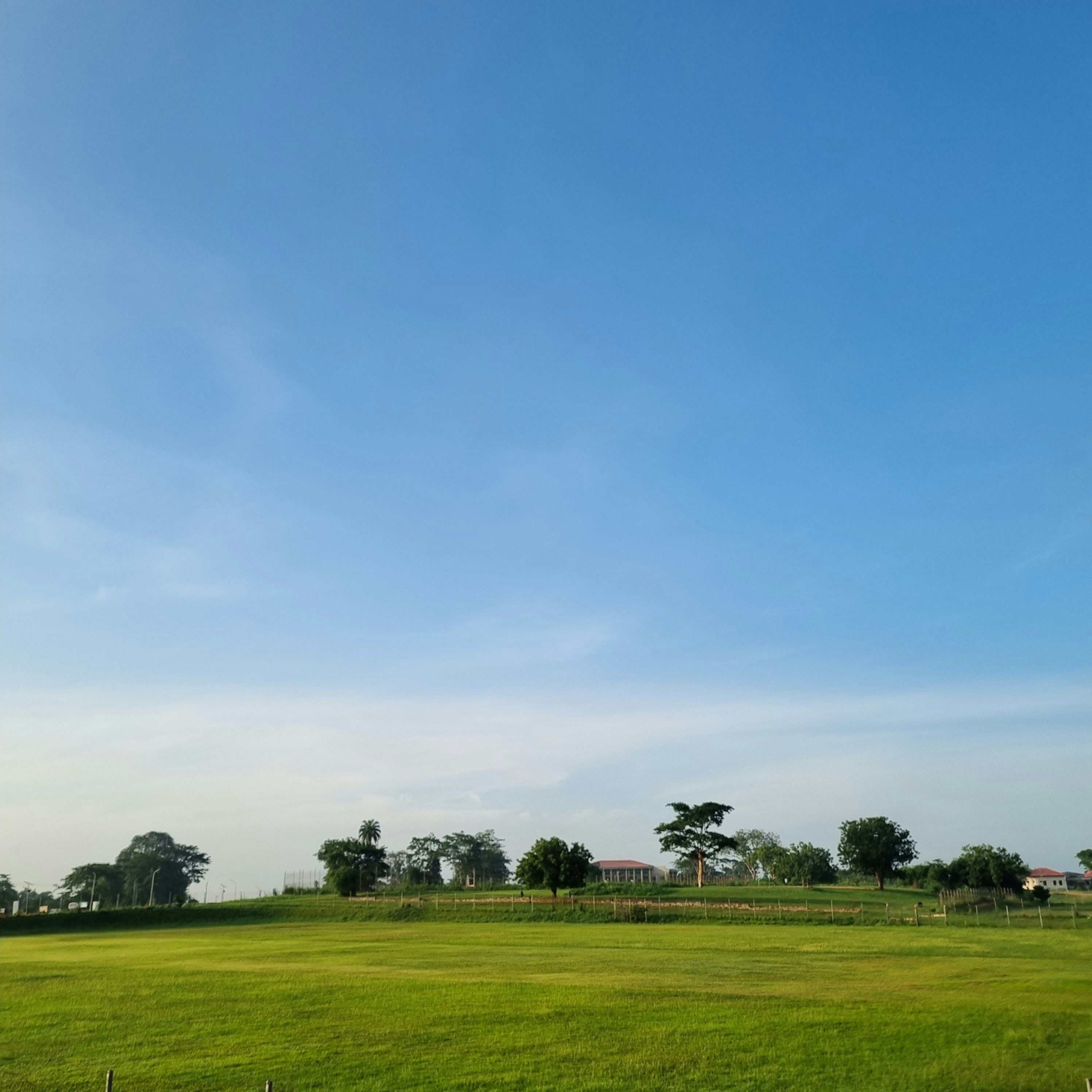 Verdant Plain Under a Wide Sky