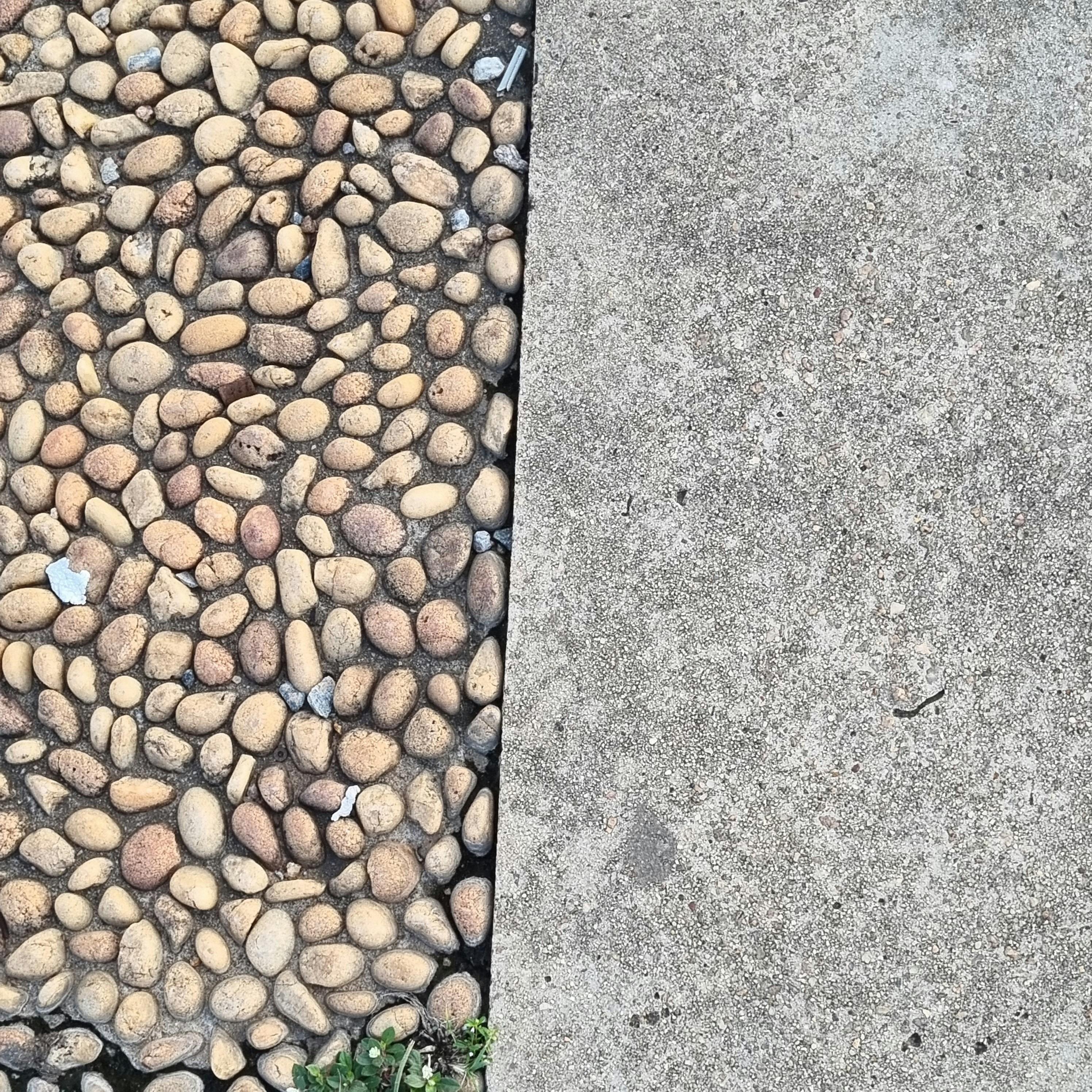 Pebble Path Divider: Pebbles on the left, concrete glare on the right