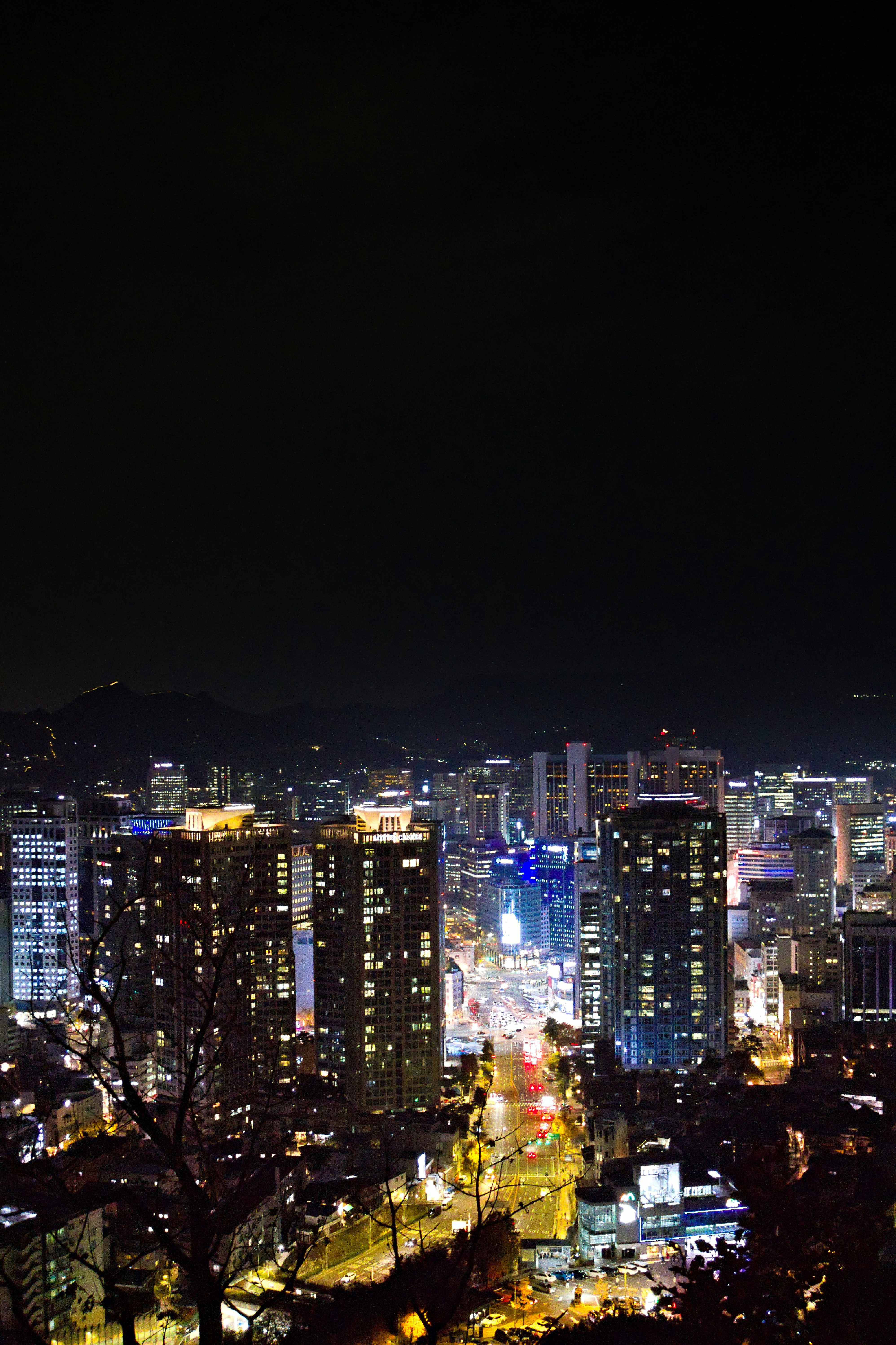 Nightfall Skyline: Neon Veins of a Busy City