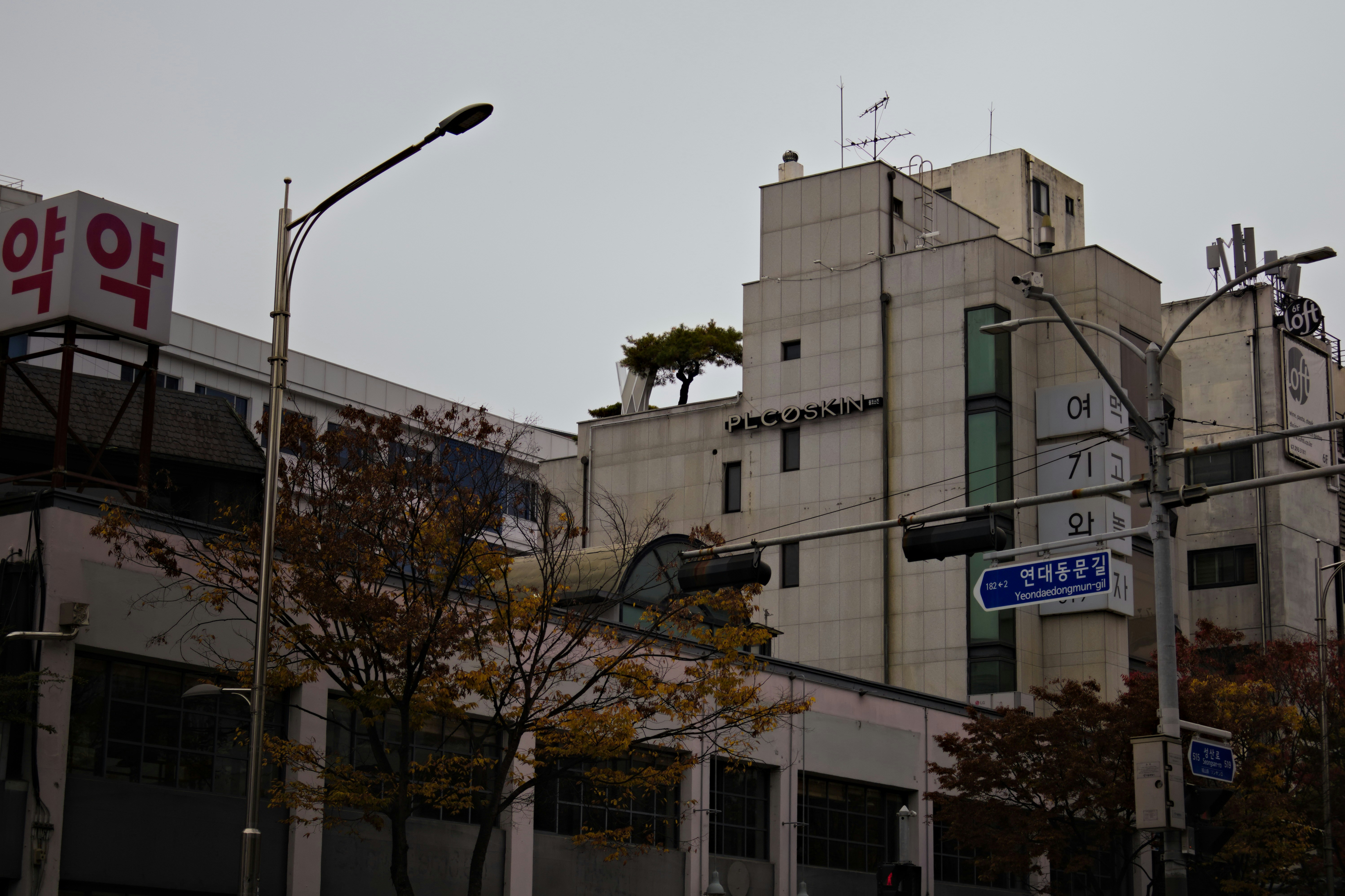 City street scene with mid-rise buildings and signage, trees with autumn foliage framing the lower left and street lamps. A calm, overcast atmosphere emphasizes muted colors, suitable for architectural studies.