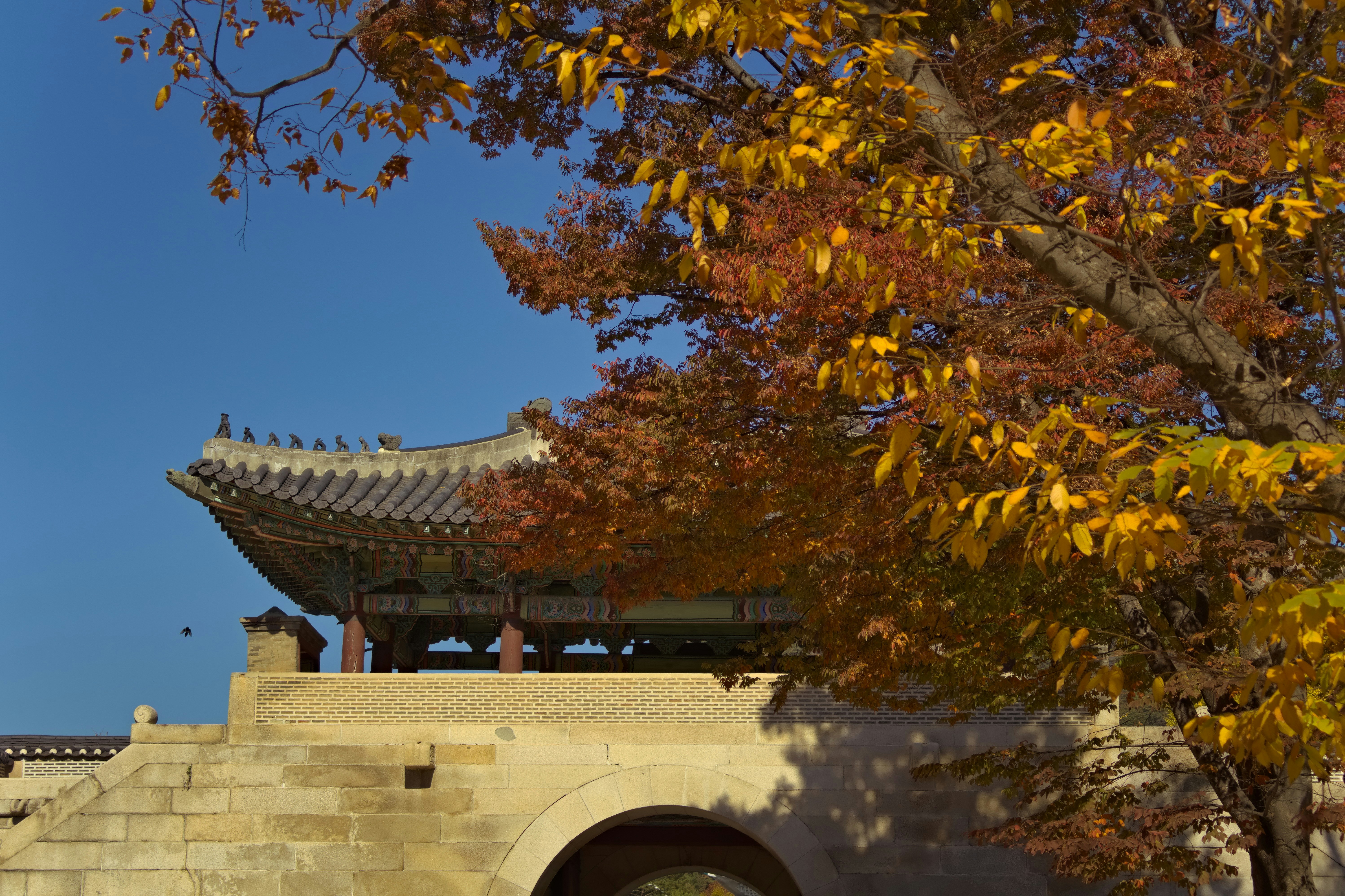 Autumn Gate: Turrets, Arches, and Golden Leaves