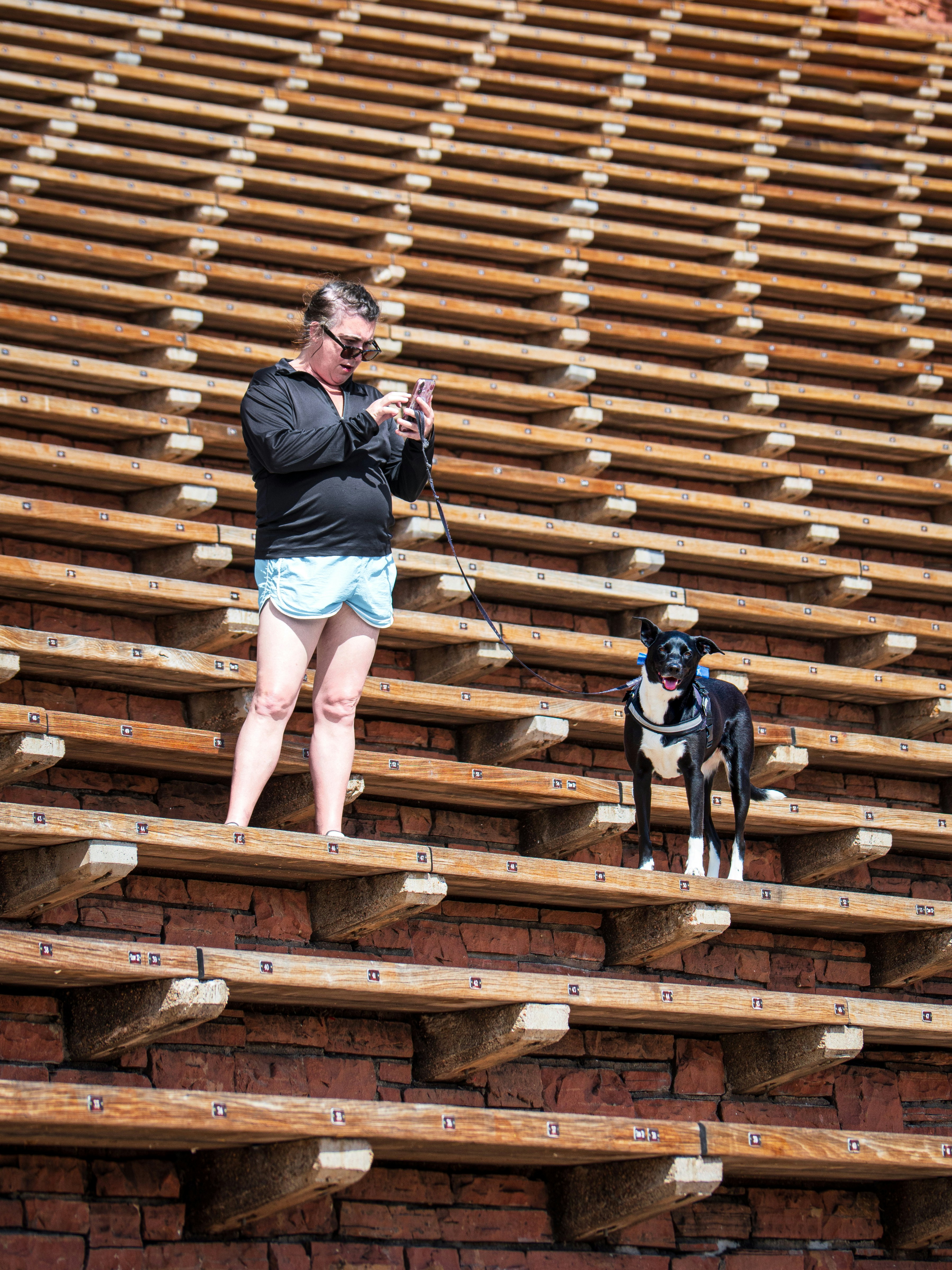 A person stands on wooden stadium bleachers with a dark dog on a leash, focused on using a phone or camera while the scene unfolds around them.