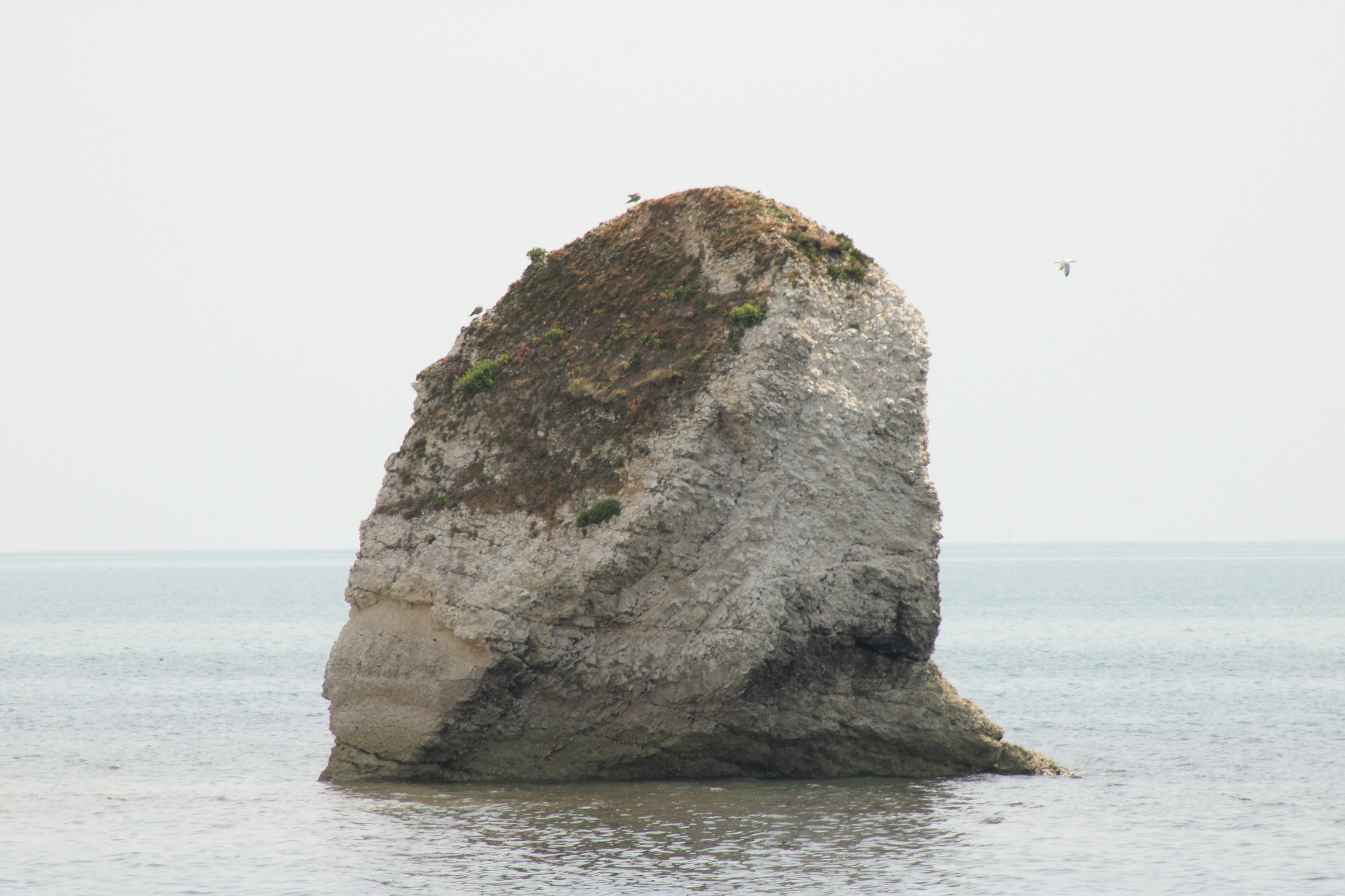 Isolated Sea Rock: A Quiet Sentinel Above the Calm Waters