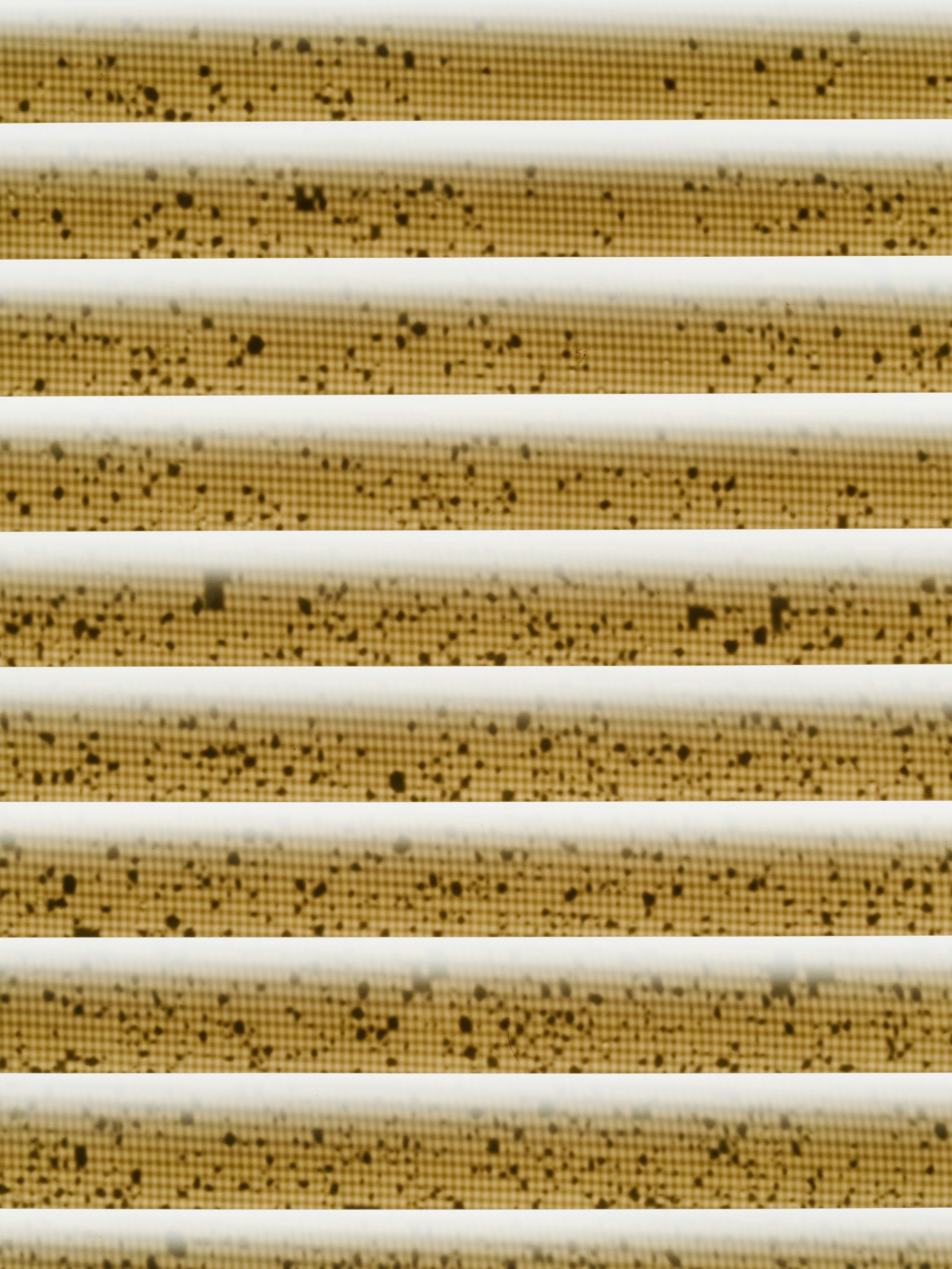 Rusty Louvered Strips: A Grid of Weathered Lines
