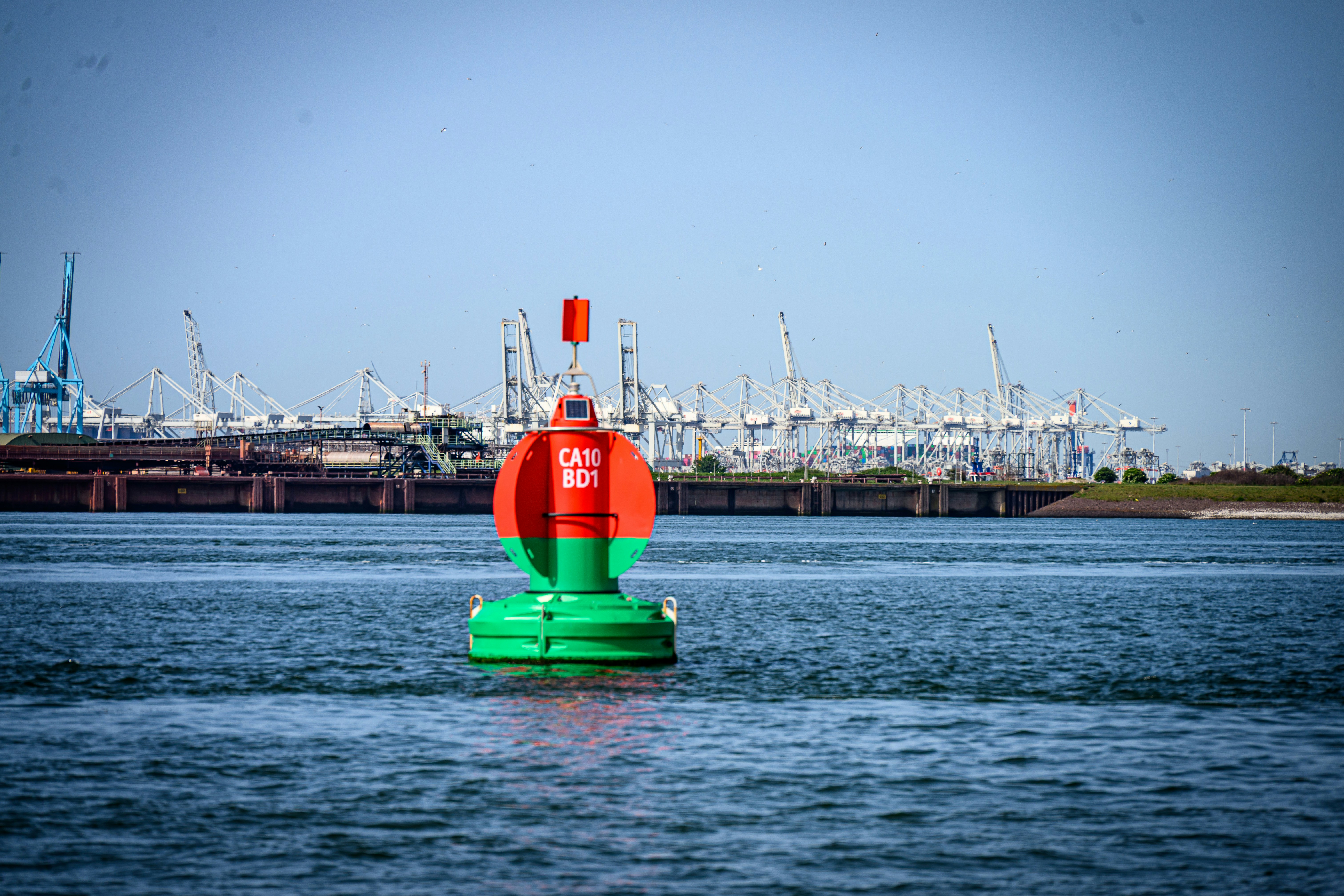 Emerald Buoy in a Quiet Industrial Tide