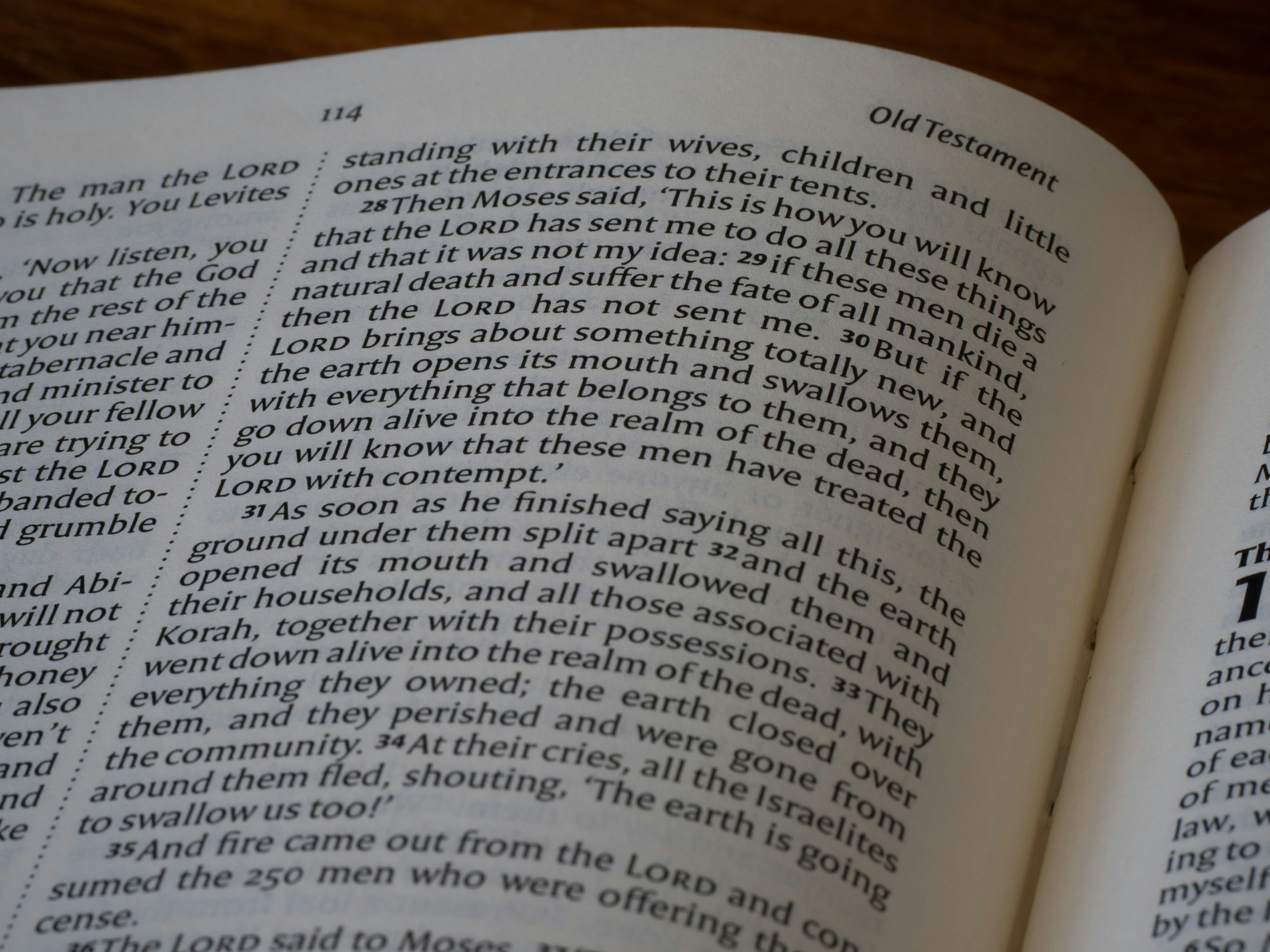 Margins of the Old Testament: A Close Read Along the Crescent-Book Spine