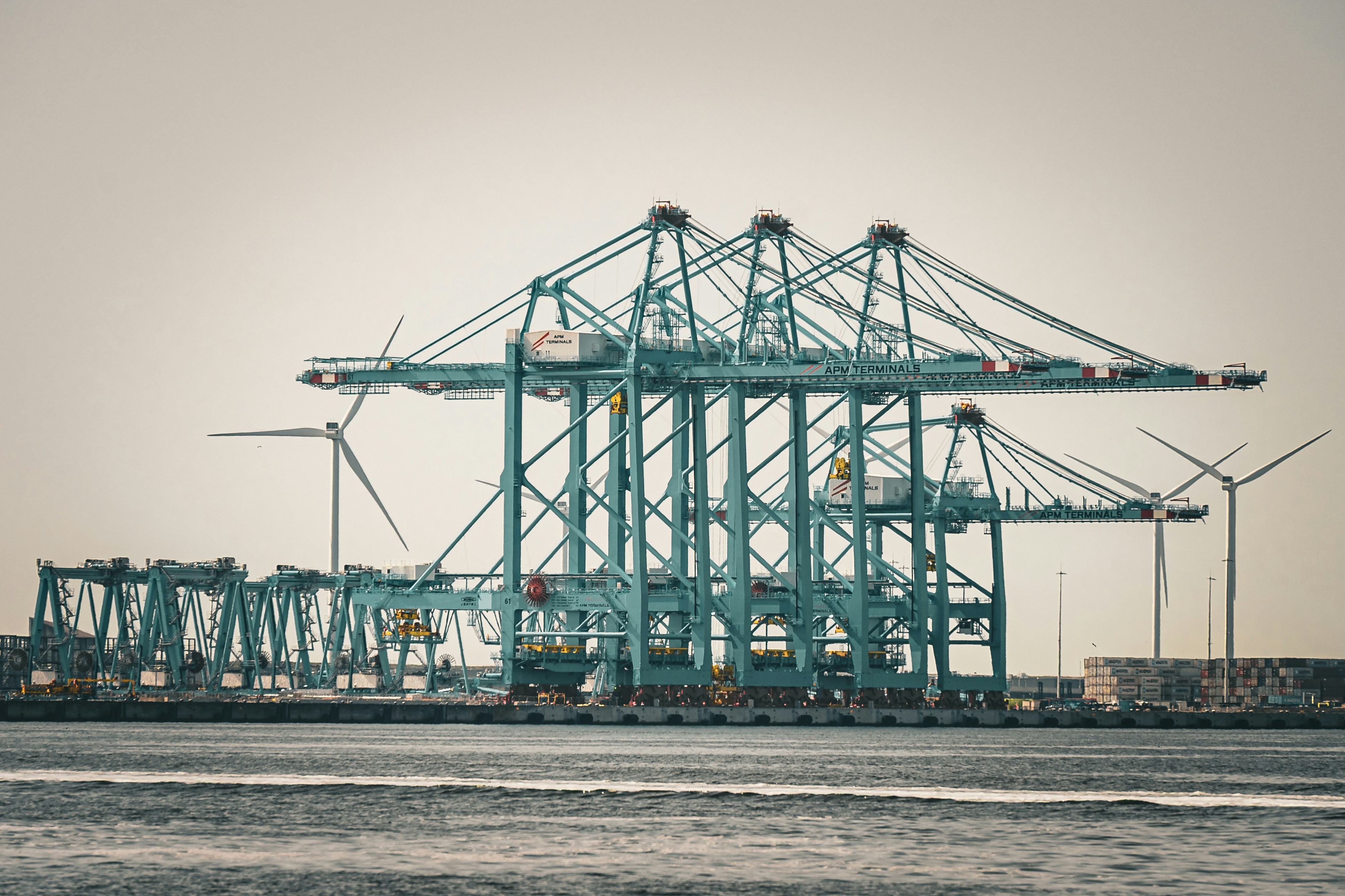 Midday Giants: Cranes Standing Sentinel Over the Harbor