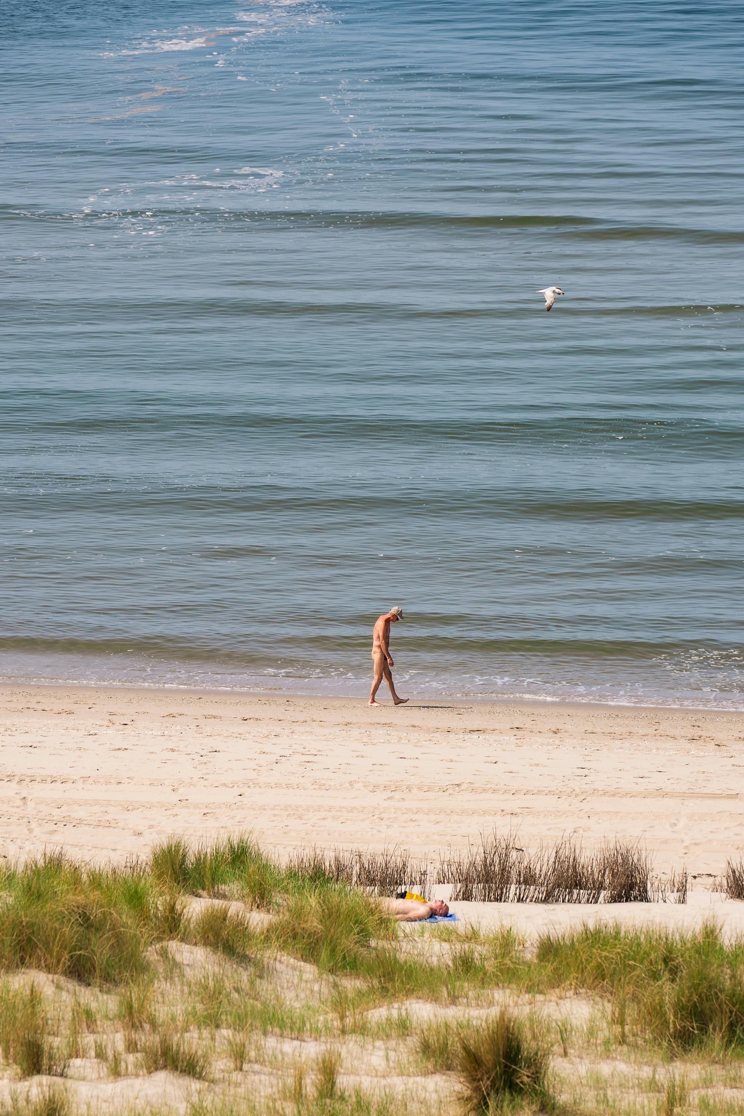 Solitary Wanderer on a Quiet Shore