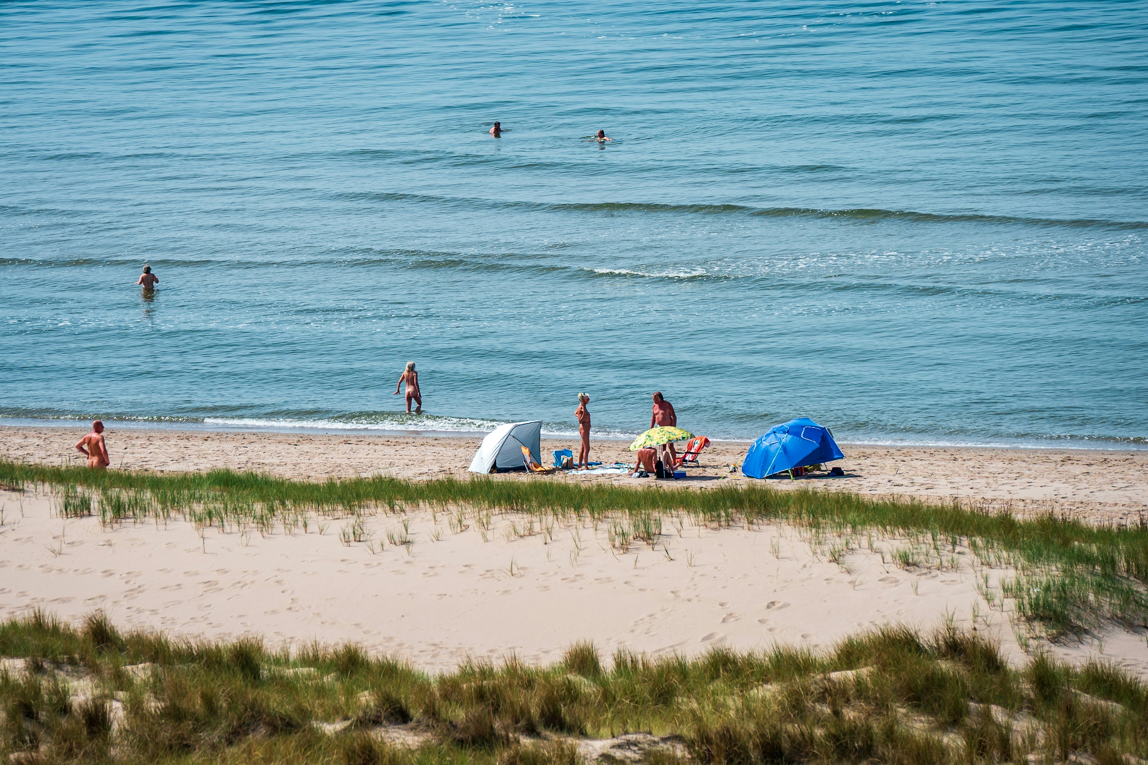 Sunlit Beach Portrait: Toward the Quiet Edge of Wave and Sand