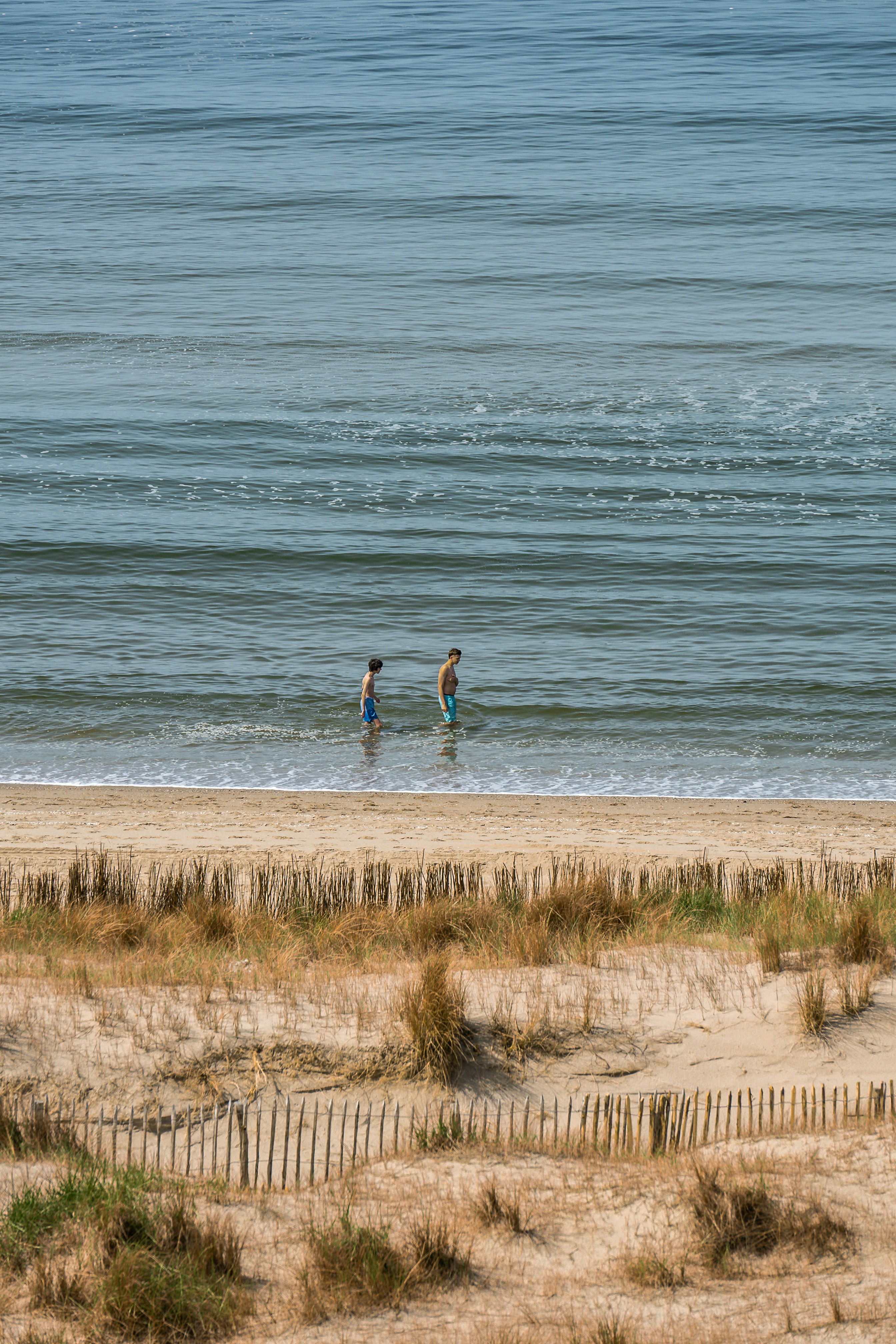 Two figures Walk the Quiet Edge of the Sea