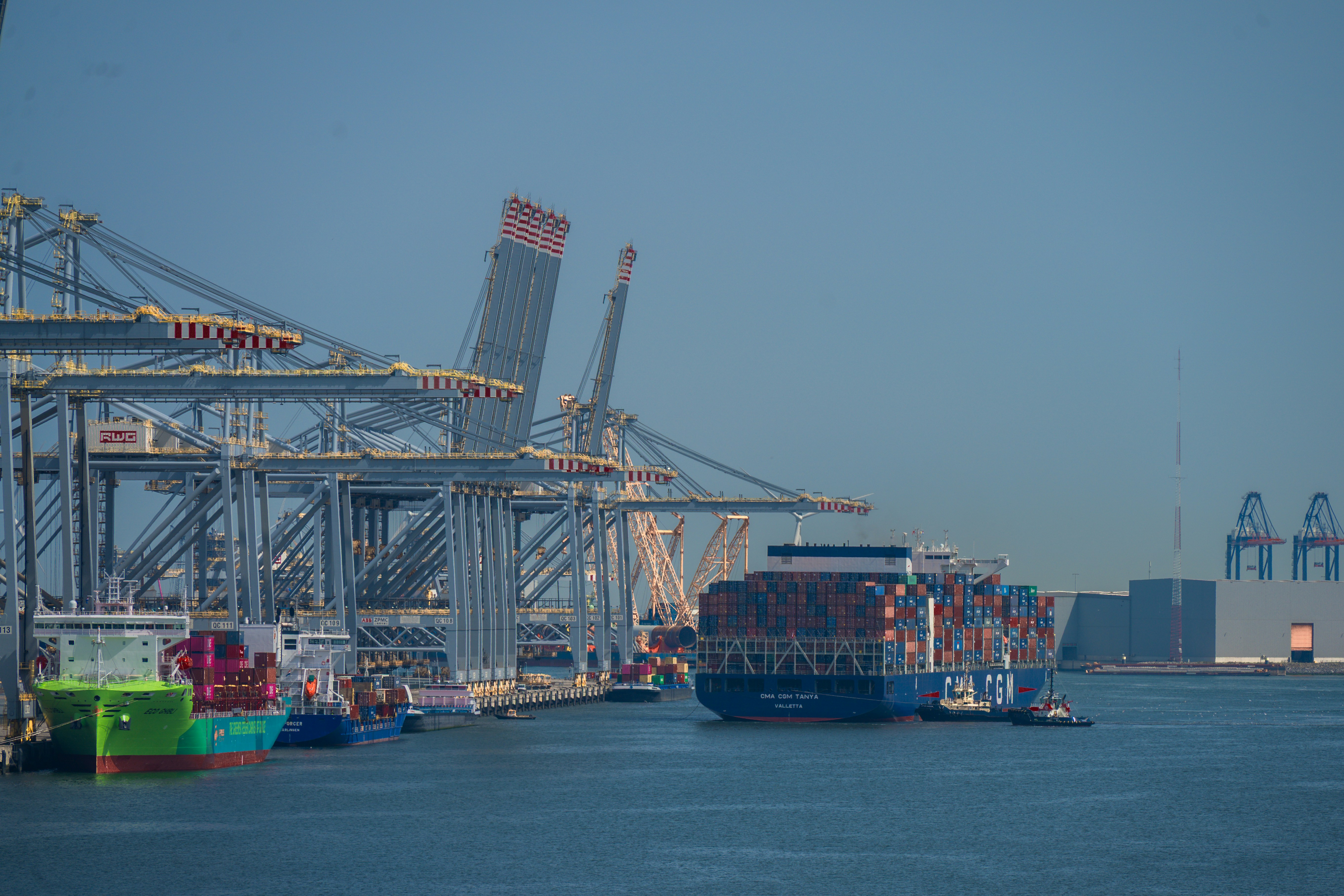 Containers at Distant Dock: A Quiet Moment Among Giants