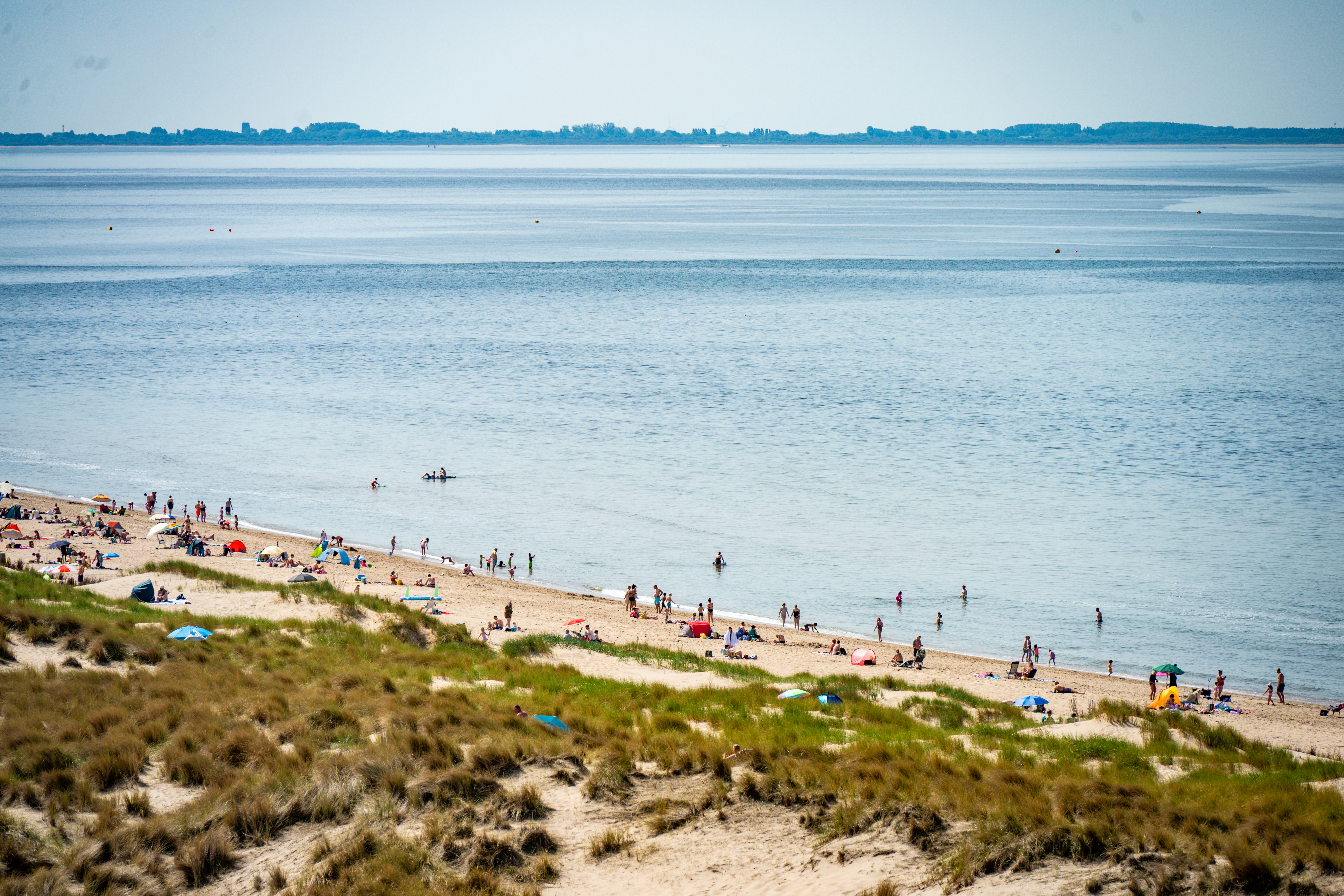 Coastal Beach Scene: Sun-Soaked Shoreline and Distant Calm Sea