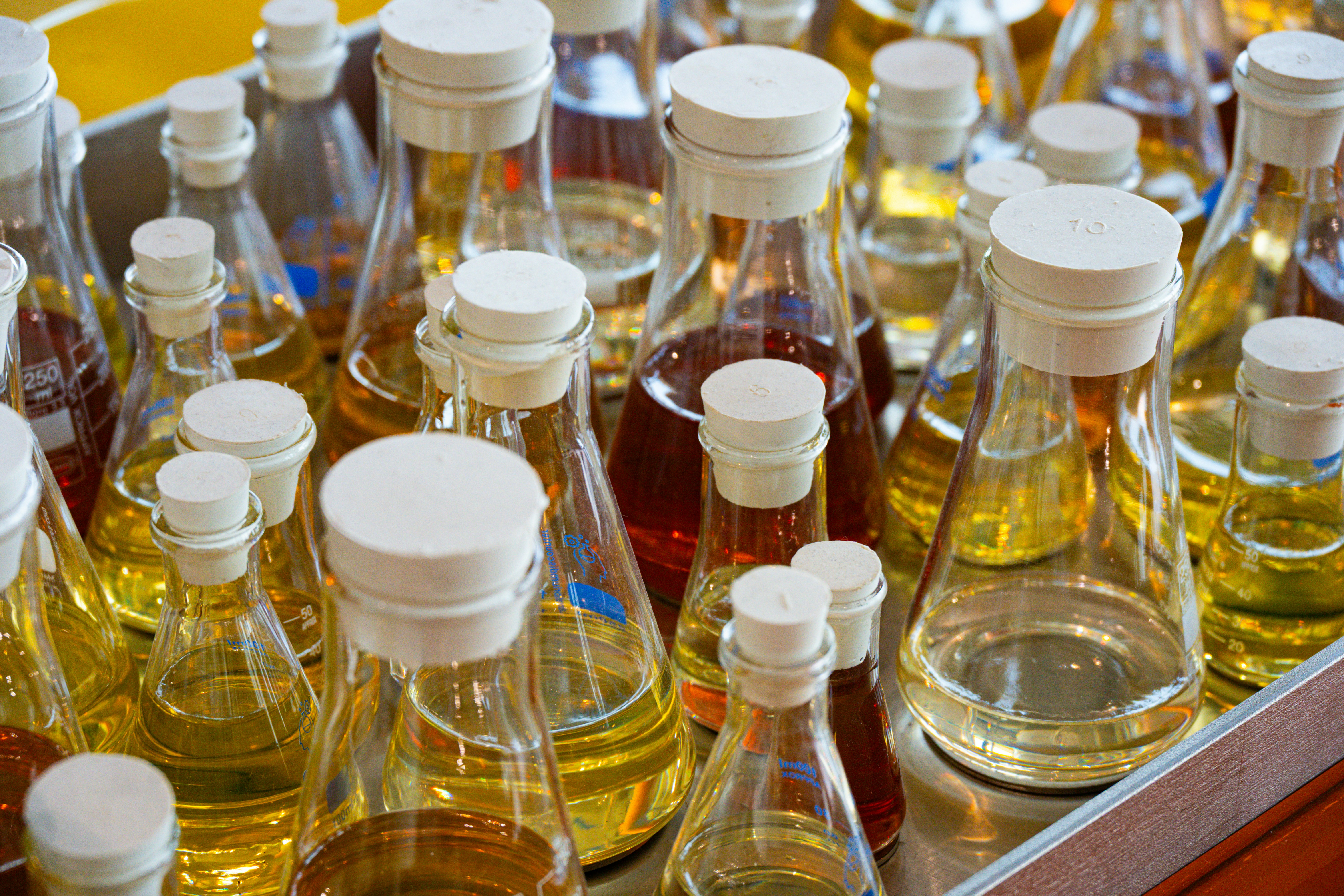 Vibrant Carousel of Bottled Colors