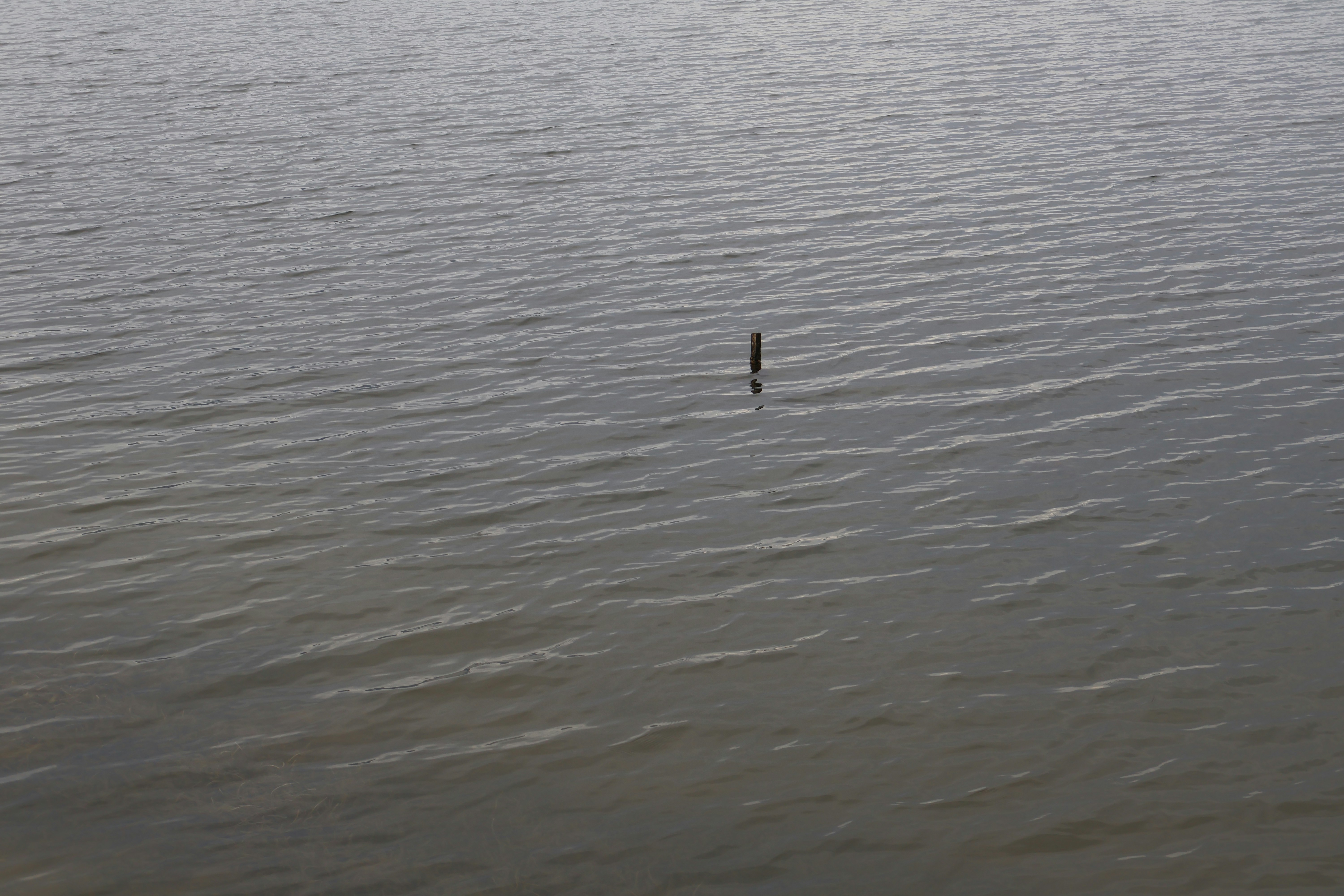 A solitary marker drifts on a calm, rippled expanse