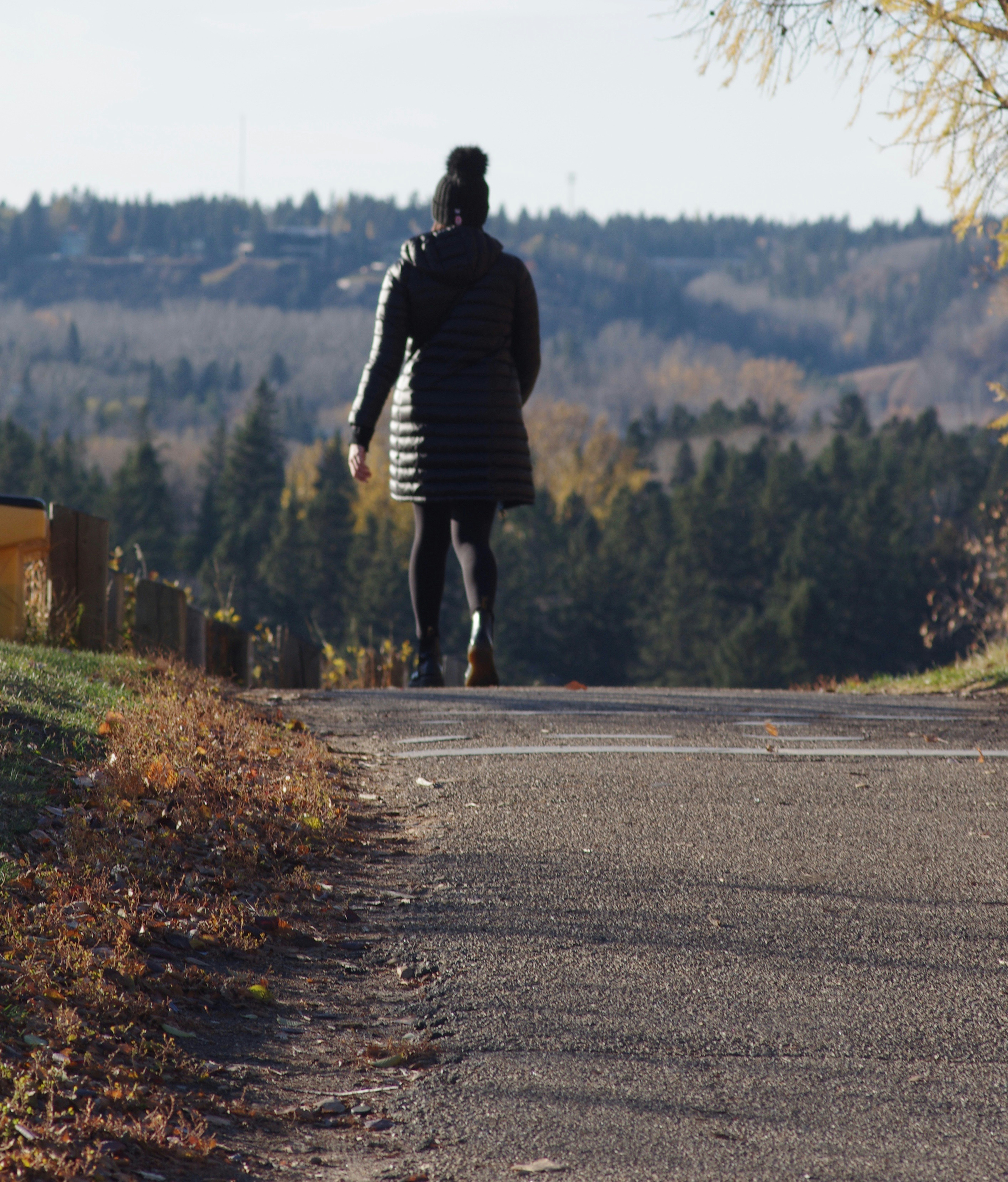 A lone figure in a dark jacket walks away along a sunlit path, with a forested landscape receding into the distance.