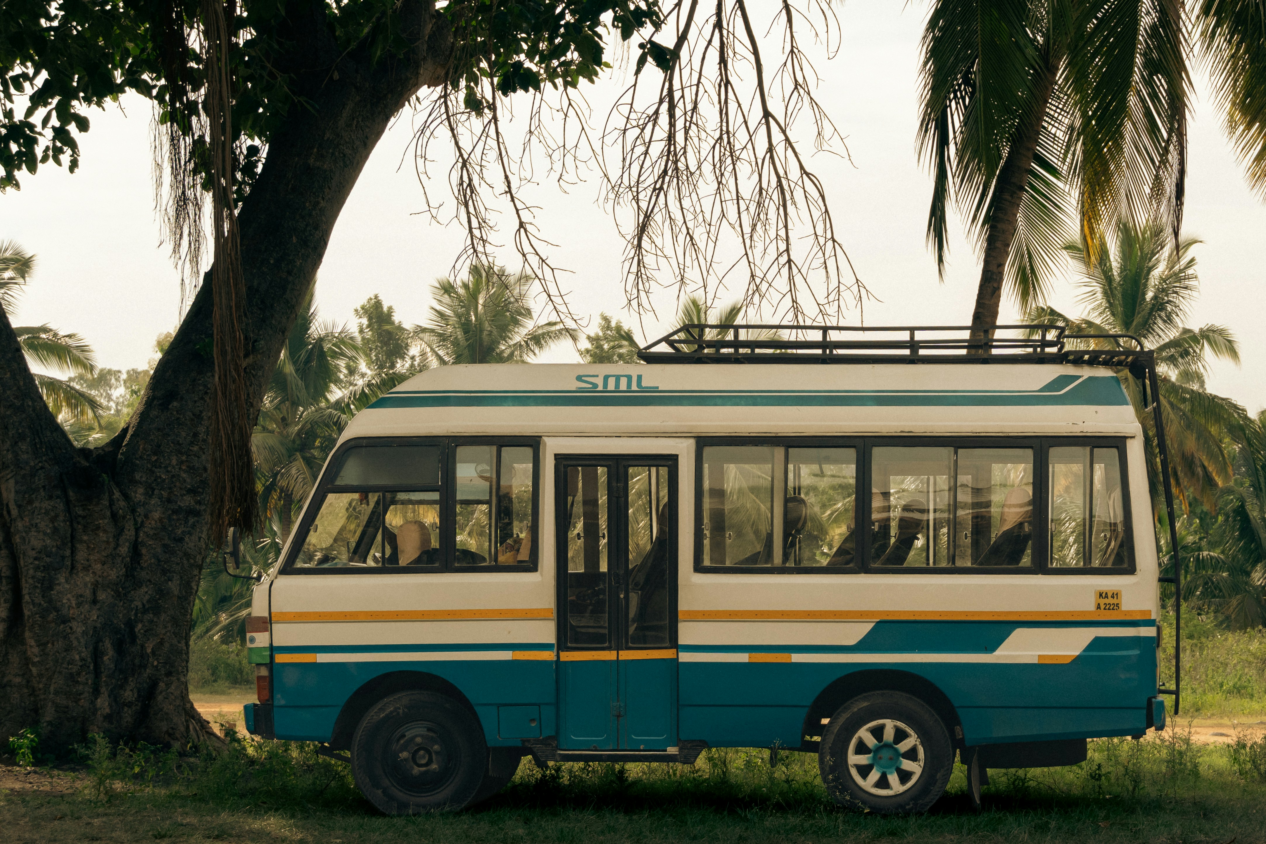 Blue and Cream Bus Quietly Resting Beneath Palm Canopy
