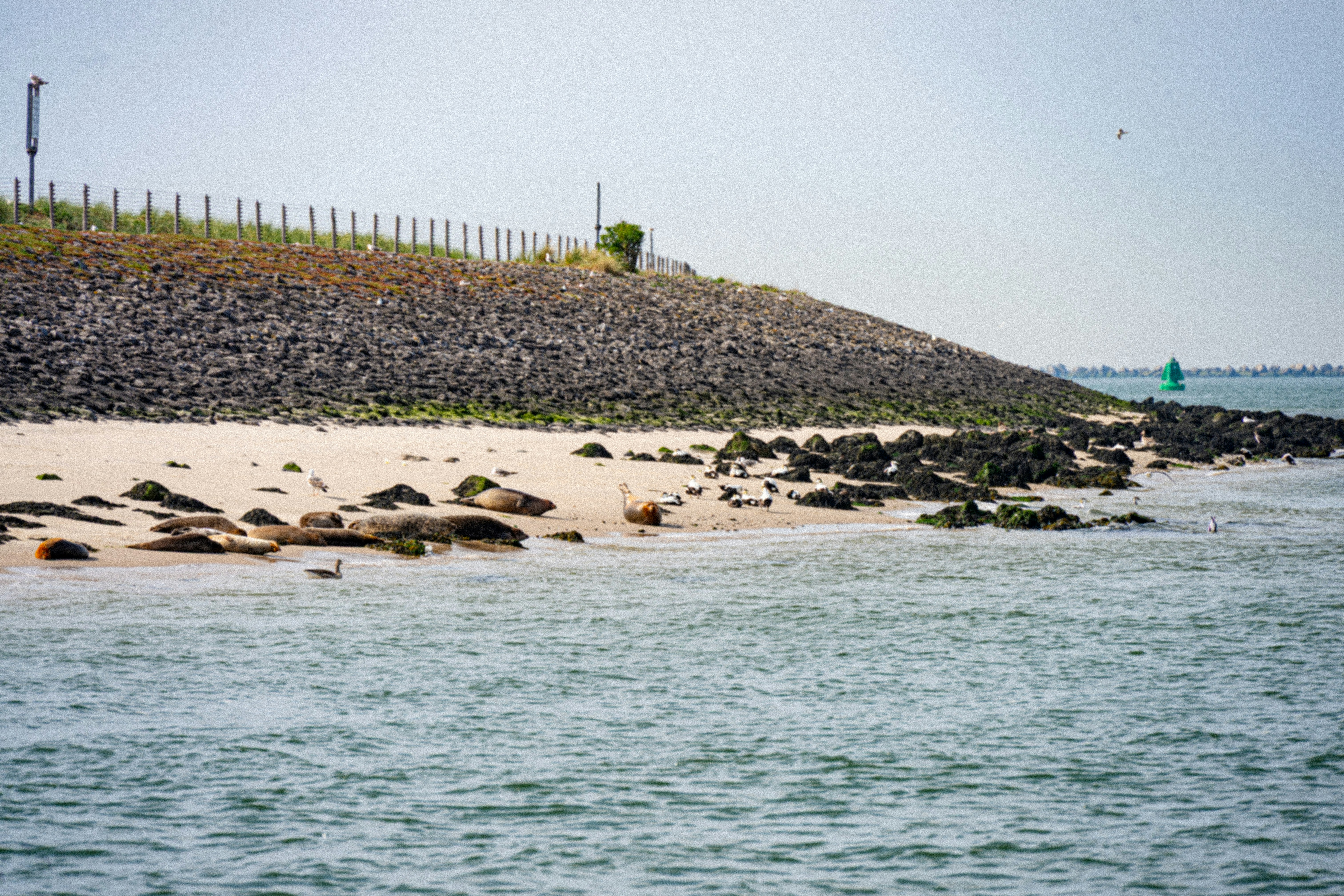 Quiet Breakwater: Rocks, Sand, and Sea under a Distant Green Beacon