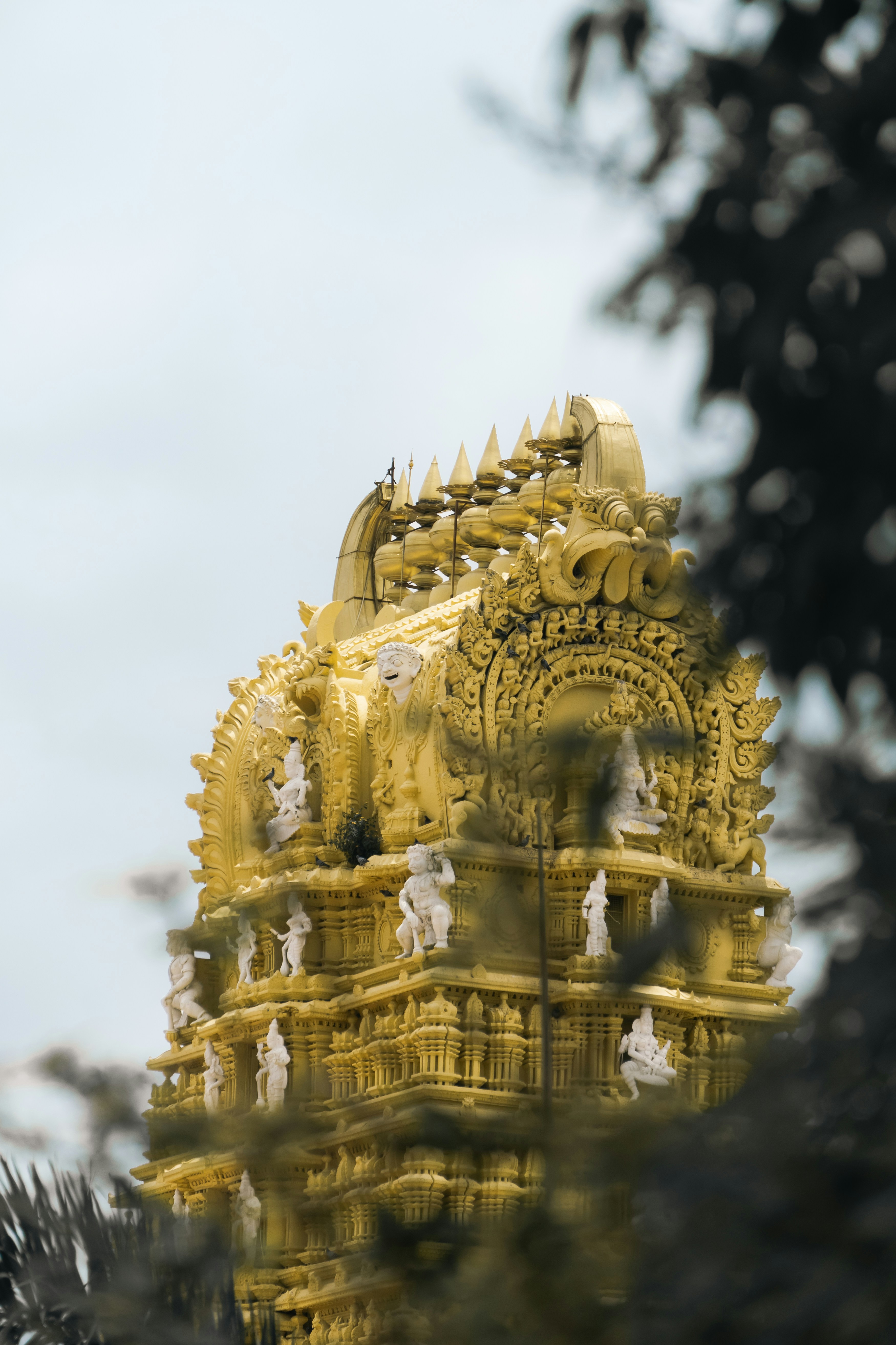 Golden Shrine Rising through Dark Foliage