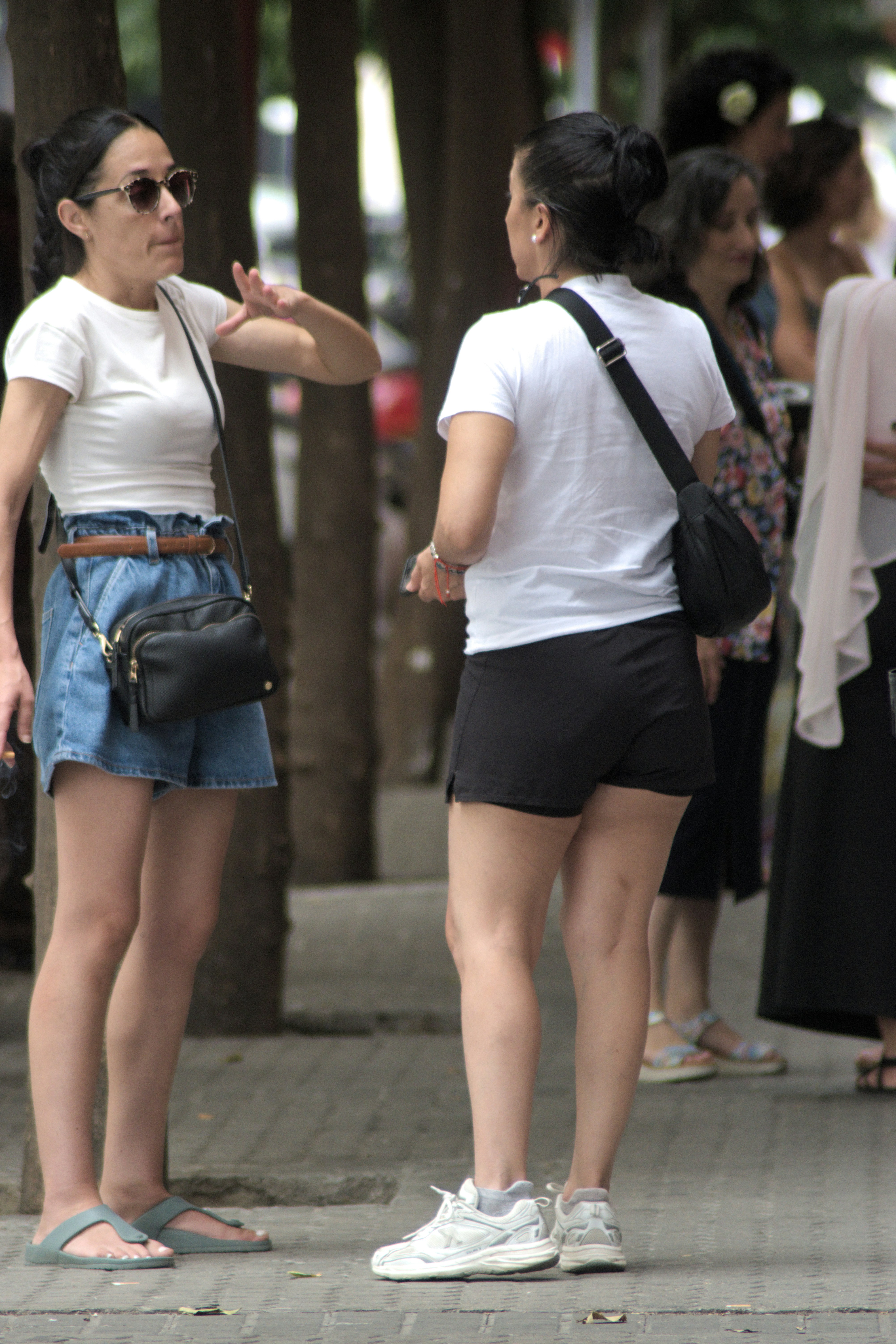 Conversations in the Urban Afternoon