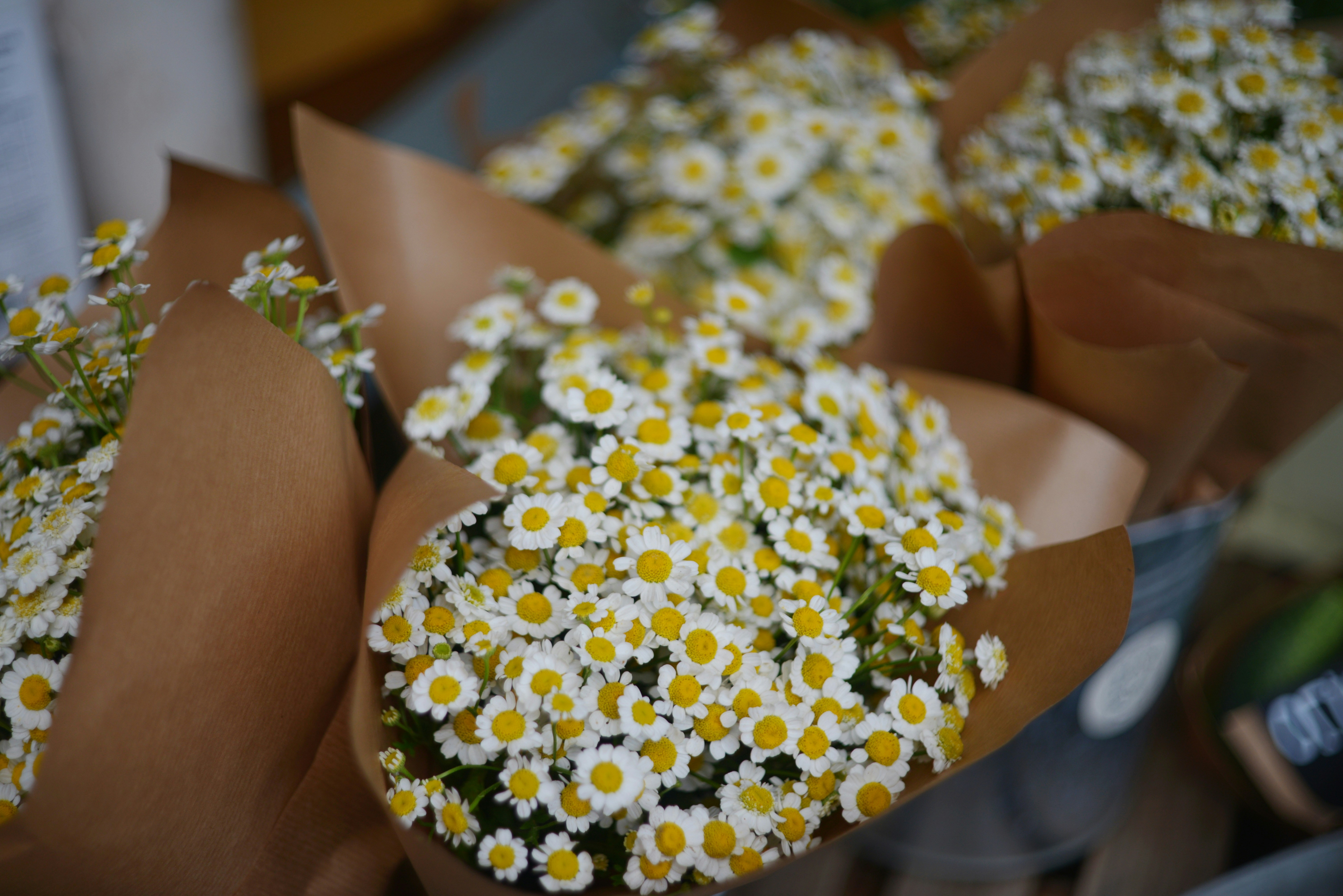 Bouquets of Daisy Pom-Poms: A Field of Sunshine Wrapped in Brown Kraft