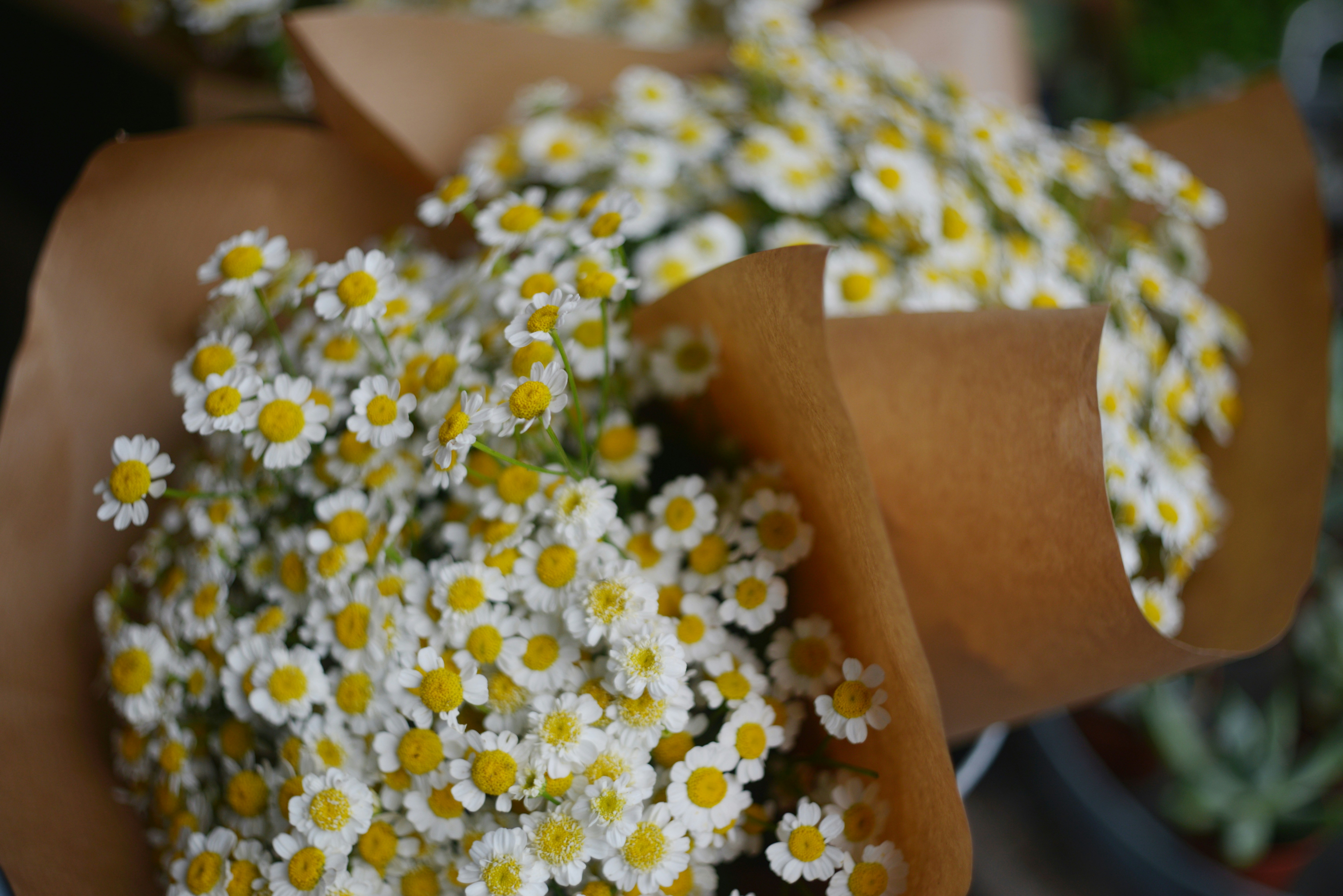 Bouquet of Tiny Suns in Brown Paper
