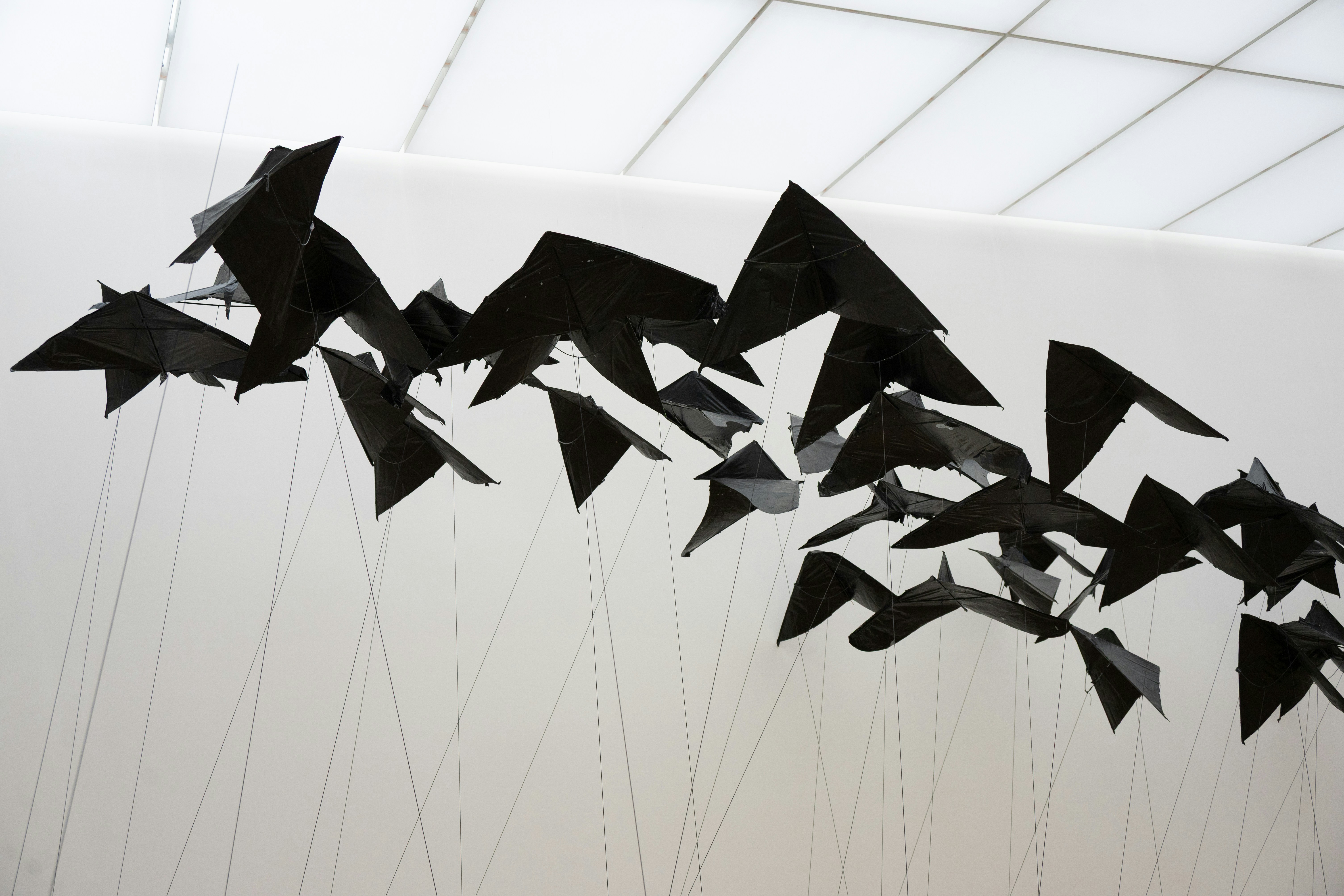 Flight of the Paper Shadows: A Gallery of Black Origami in Space