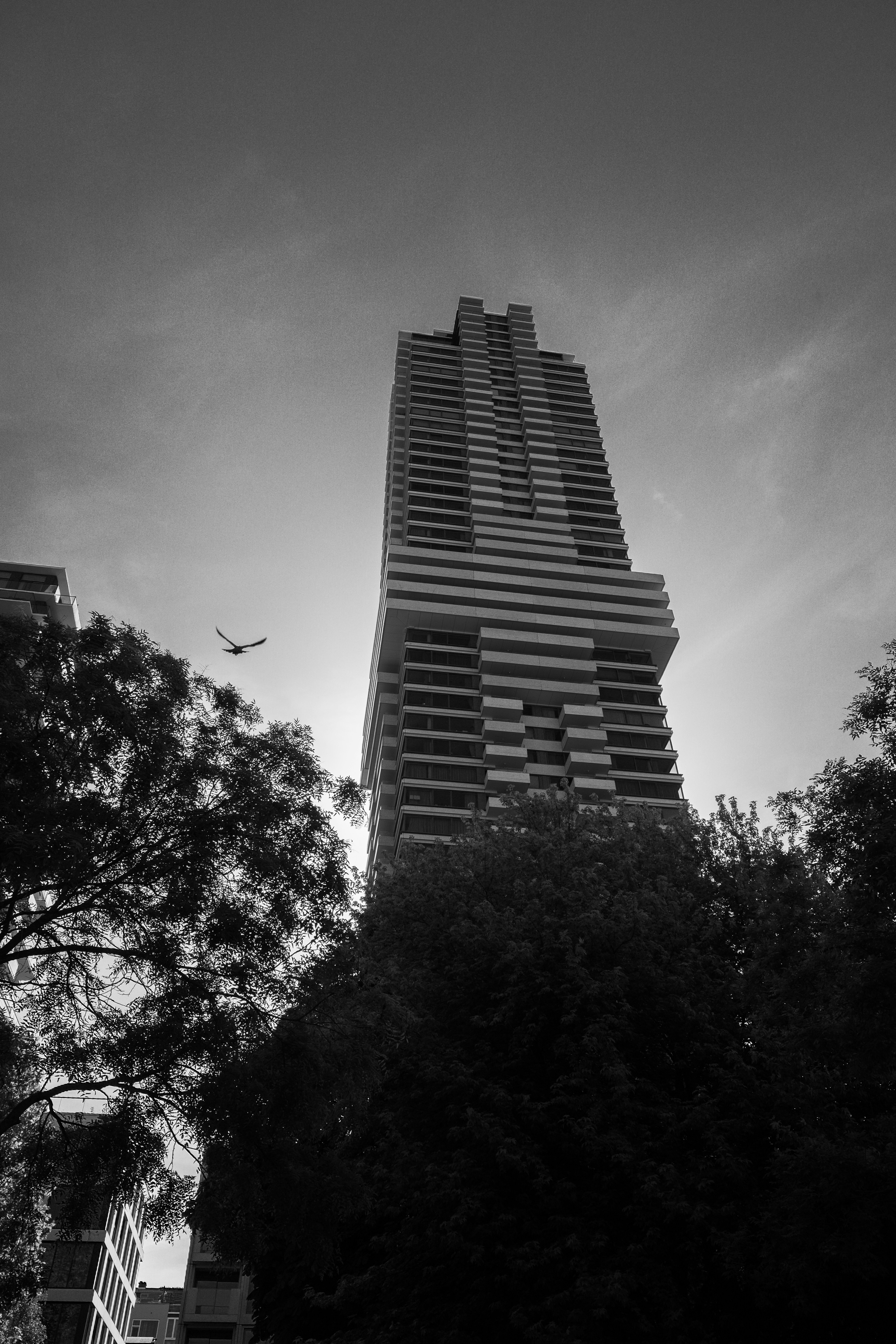 Skyline Sentinel: A Tower Pierces the Light