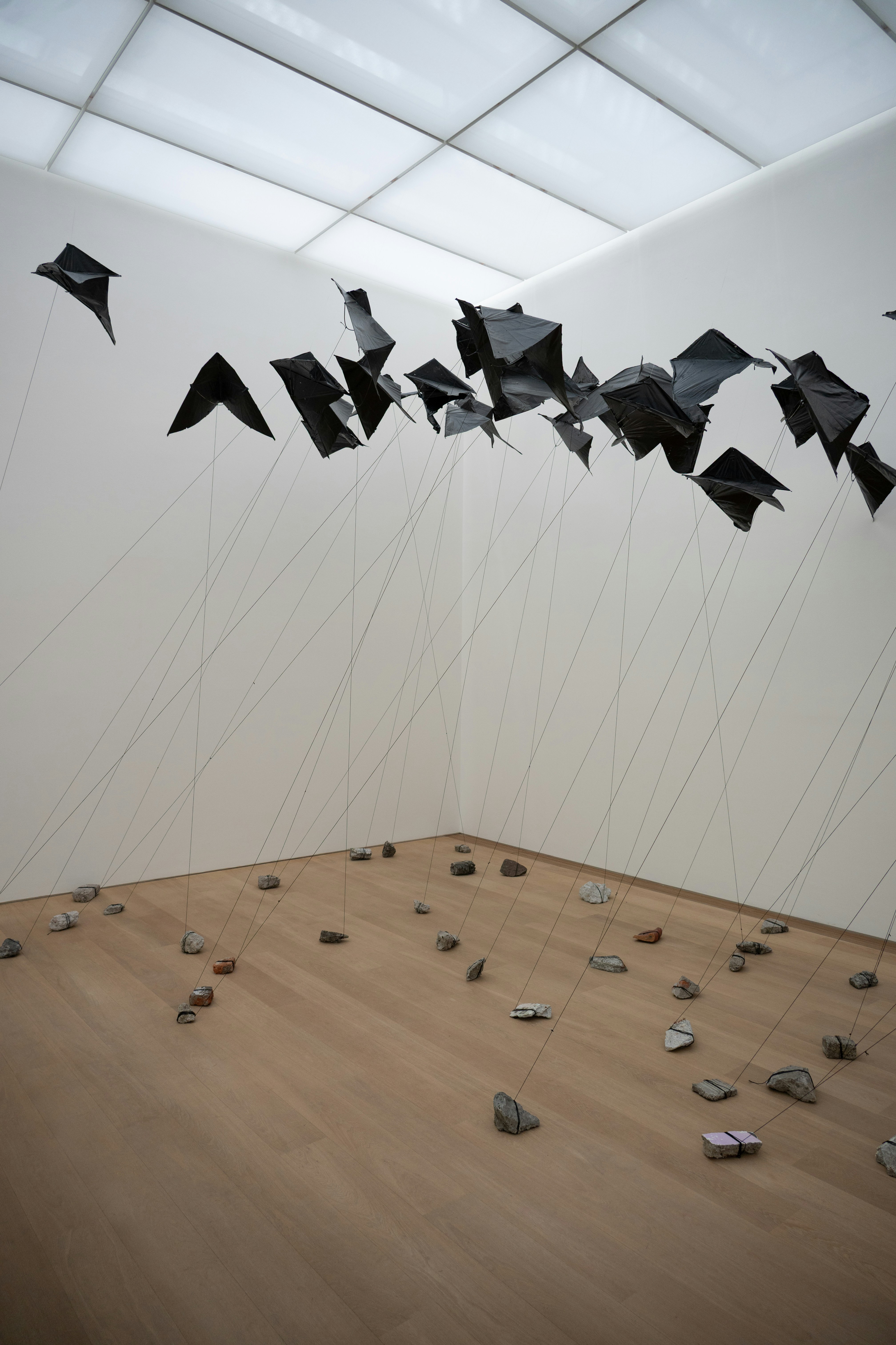 Tethered Folds: A Flight of Dark Kites in a Quiet Gallery
