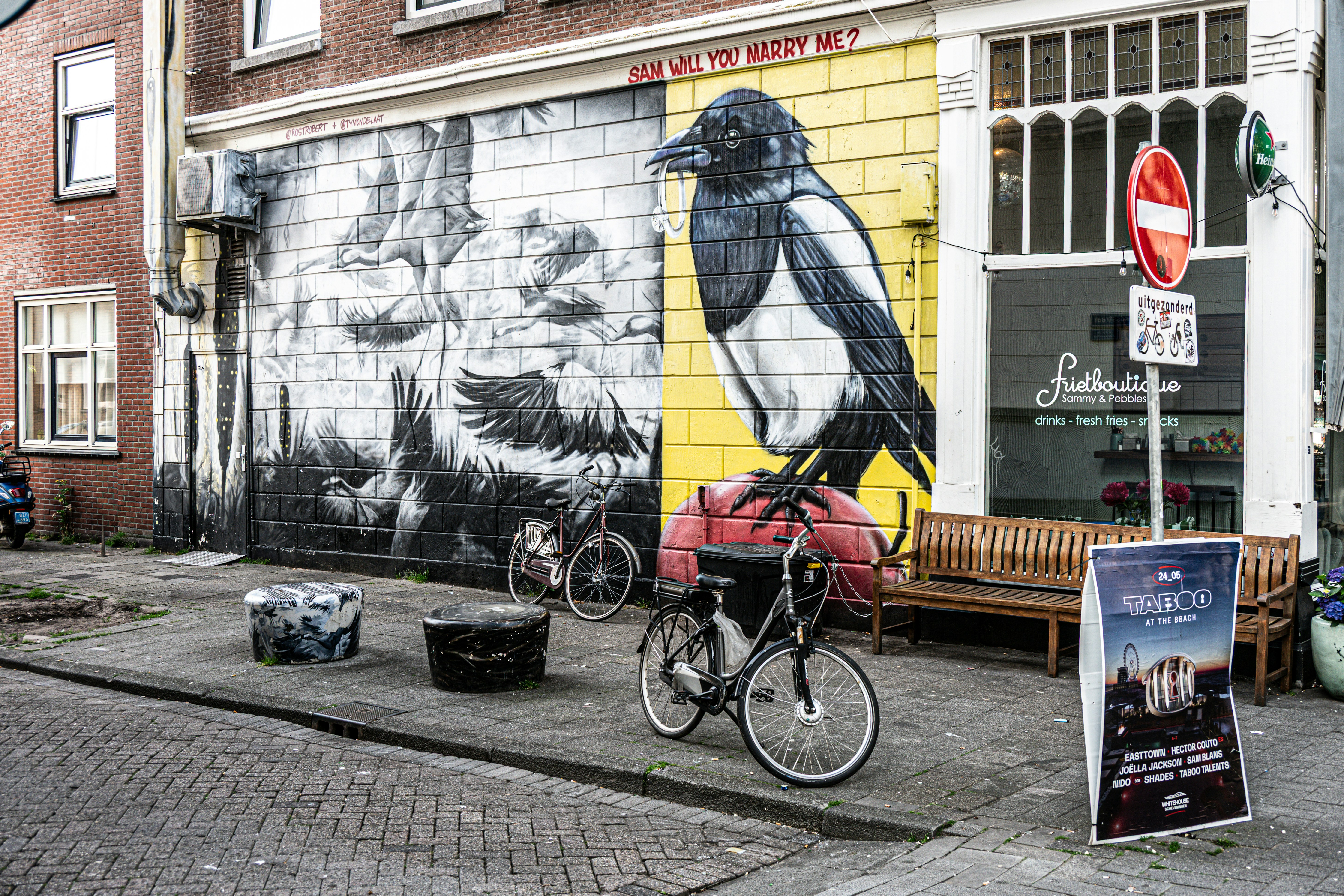 Raven on the Yellow Wall: Street Murals and Quiet Urban Rhythm