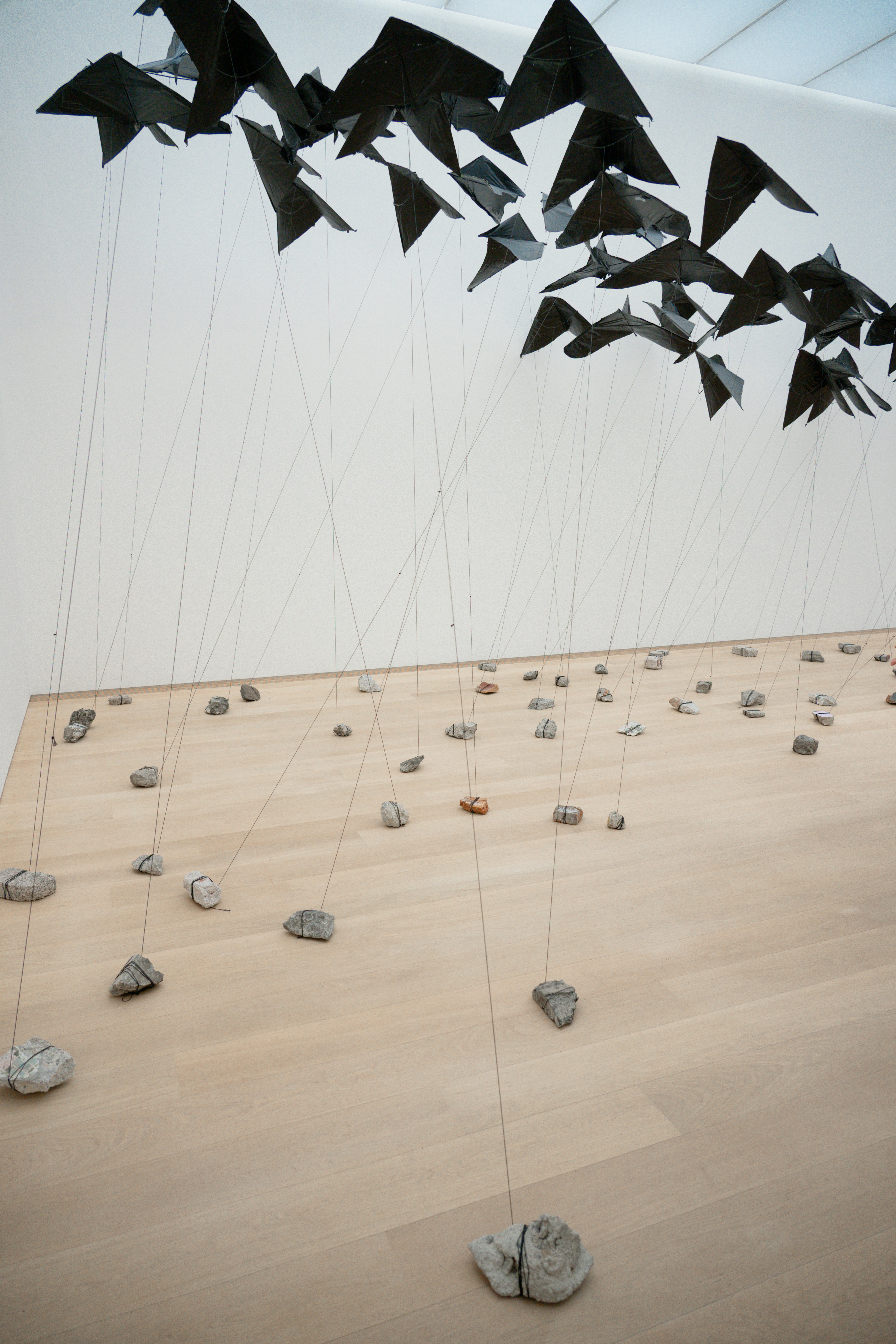 Strings of Flight: A Ceiling of Flying Forms Over an Earthbound Floor