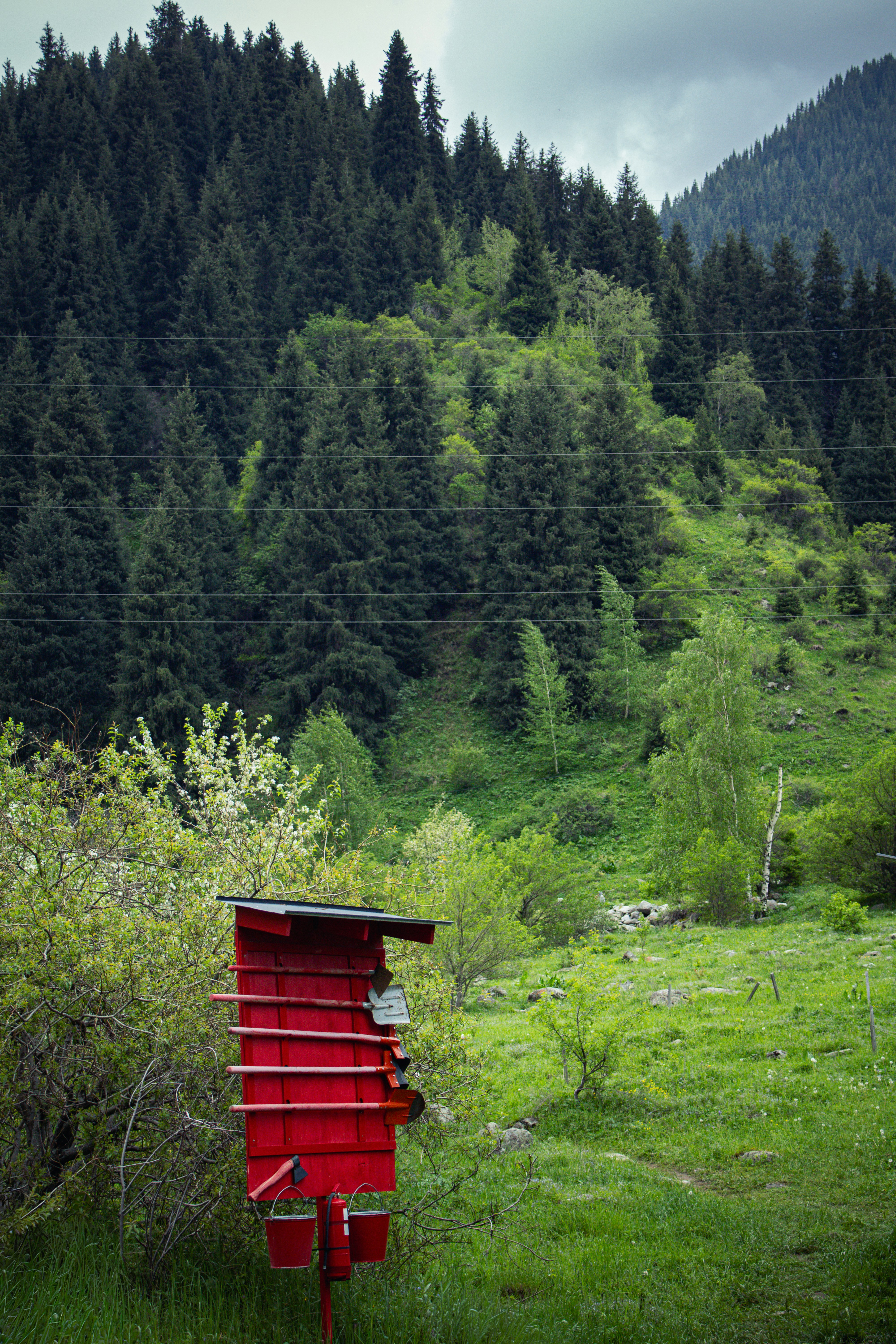 Bright red wooden insectary box stands in a green meadow with a forested hillside behind it. A small garden-like scene showing human-made structure within a natural landscape.