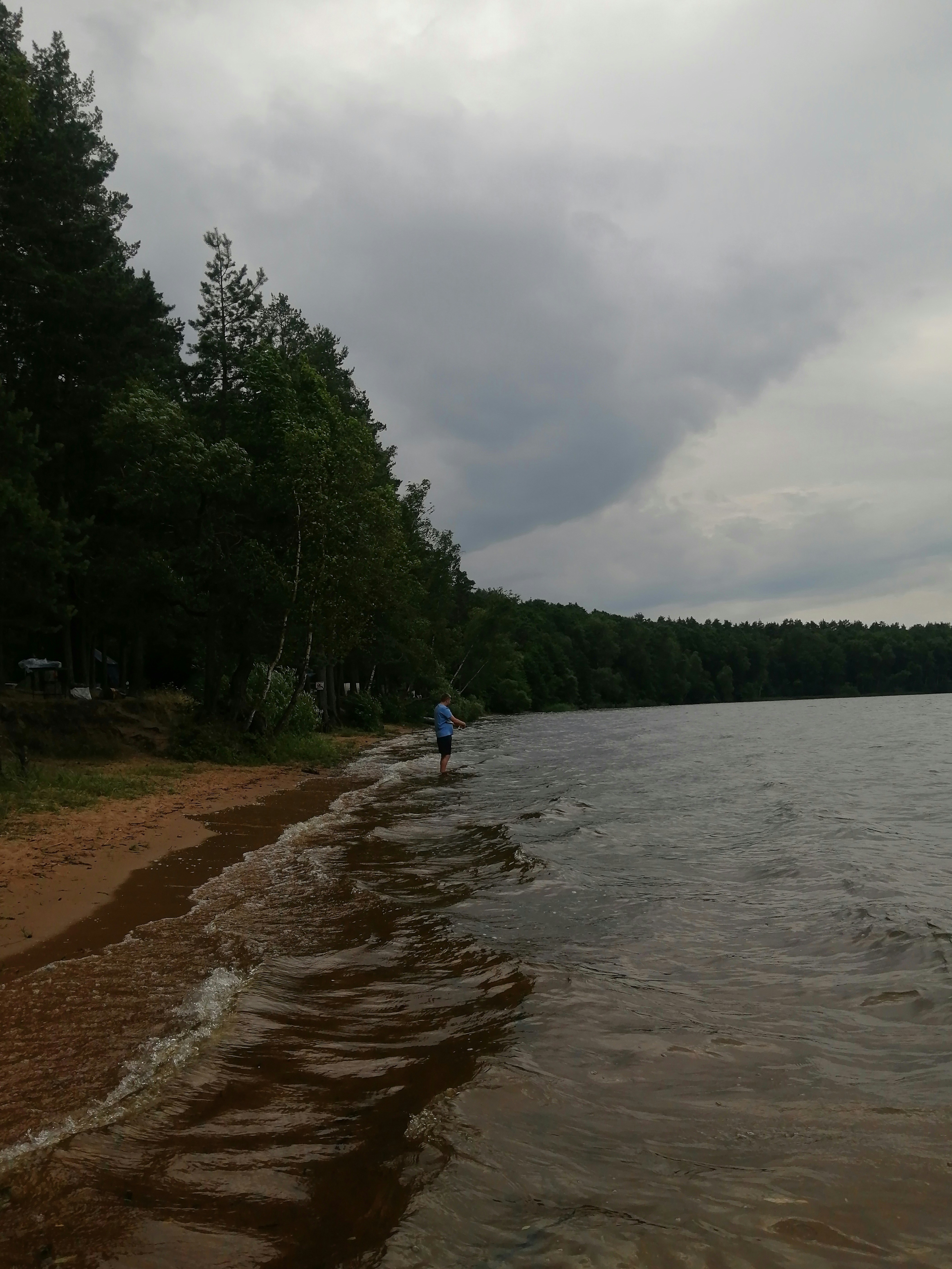 A man stands near the waterline along a sandy lakeshore, with dense trees to the left and a calm lake extending to the horizon under overcast skies. The scene emphasizes shoreline texture and natural surroundings.
