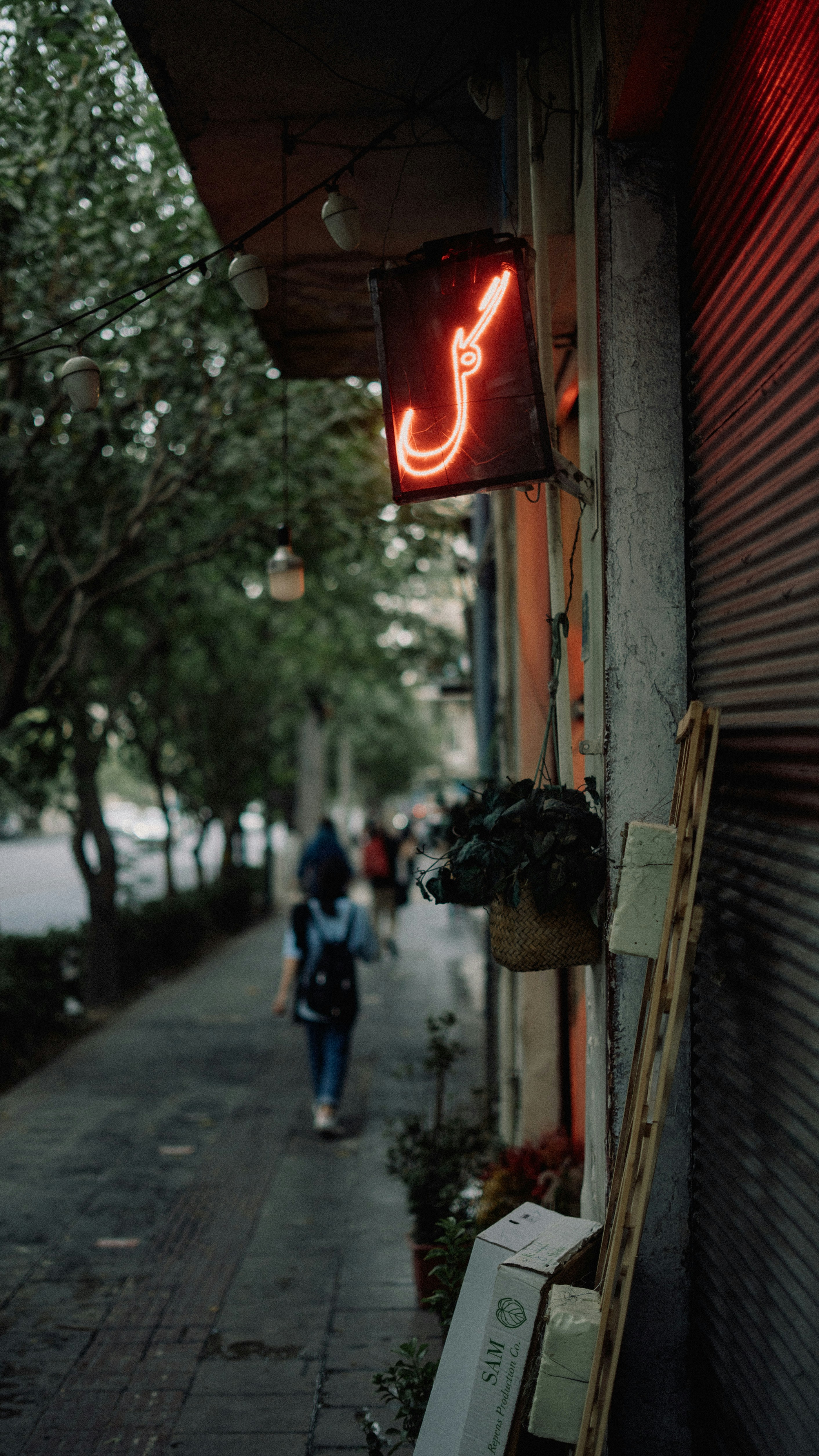 Neon Signover Alley: Quiet Pulse of the Evening Street